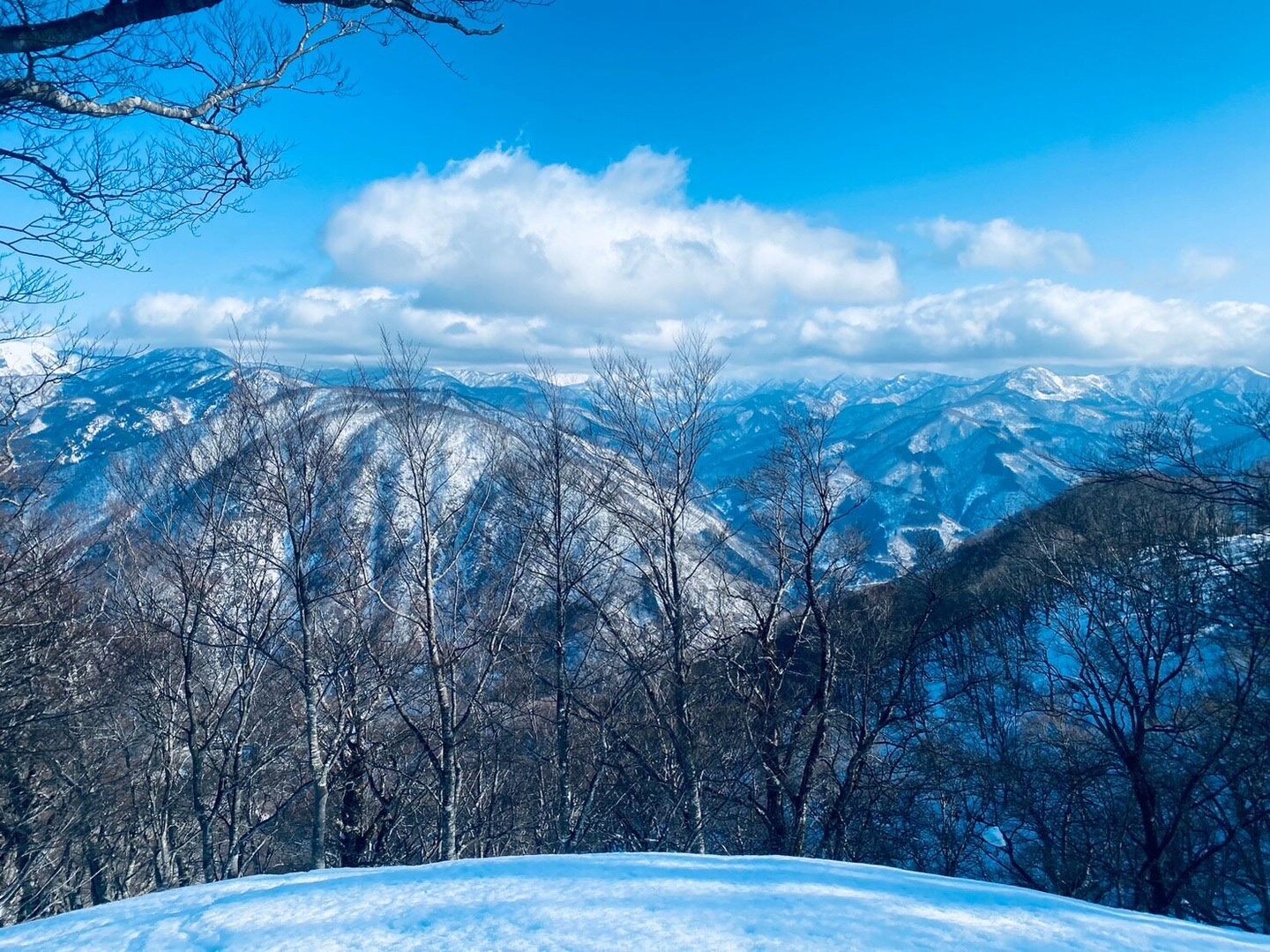 荒島岳⛰初スノーシュー / みわさんの荒島岳の活動日記 | YAMAP / ヤマップ