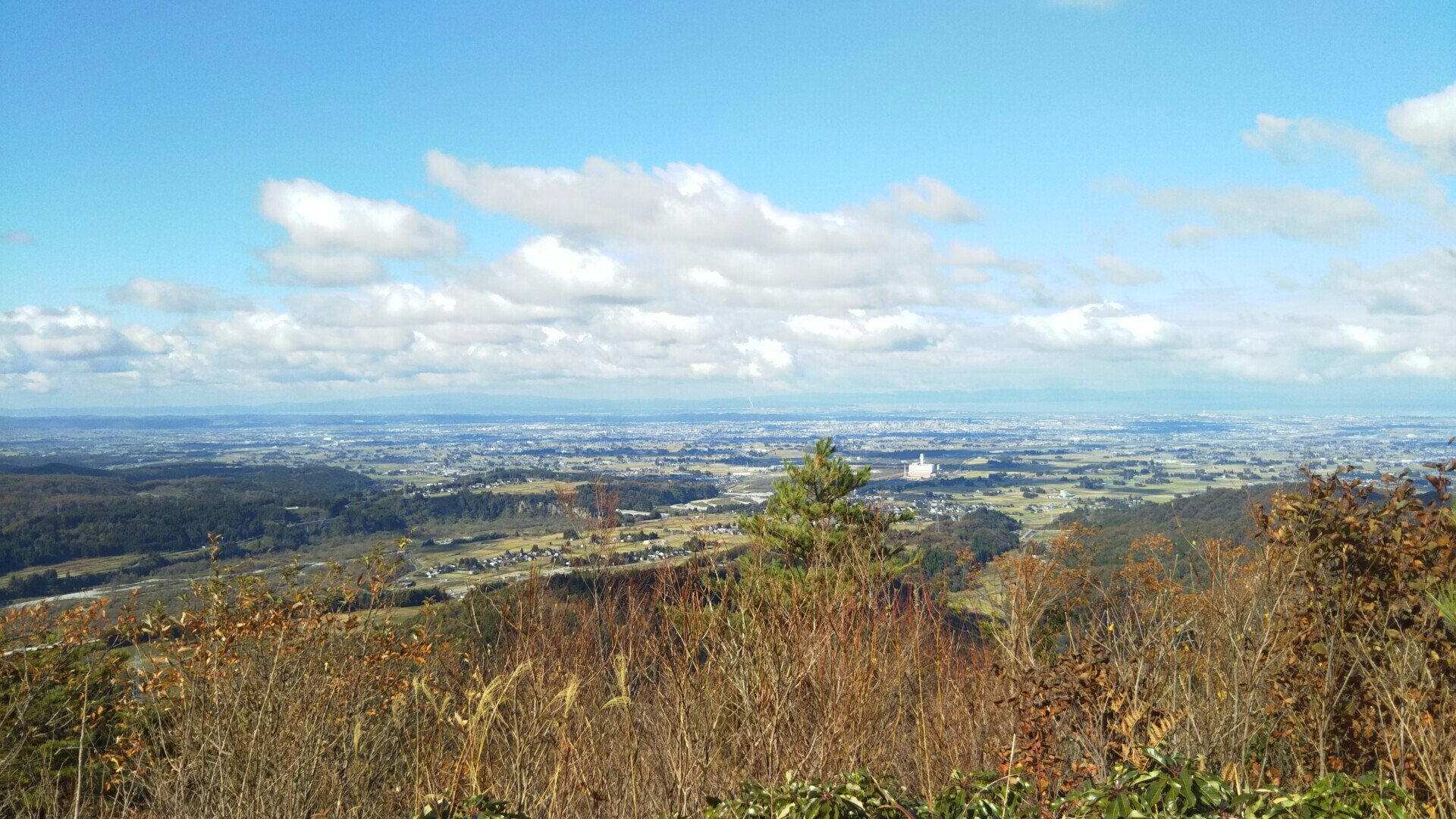 山を求めて・・・尖山😆 / mi-yaさんの尖山の活動日記 | YAMAP / ヤマップ