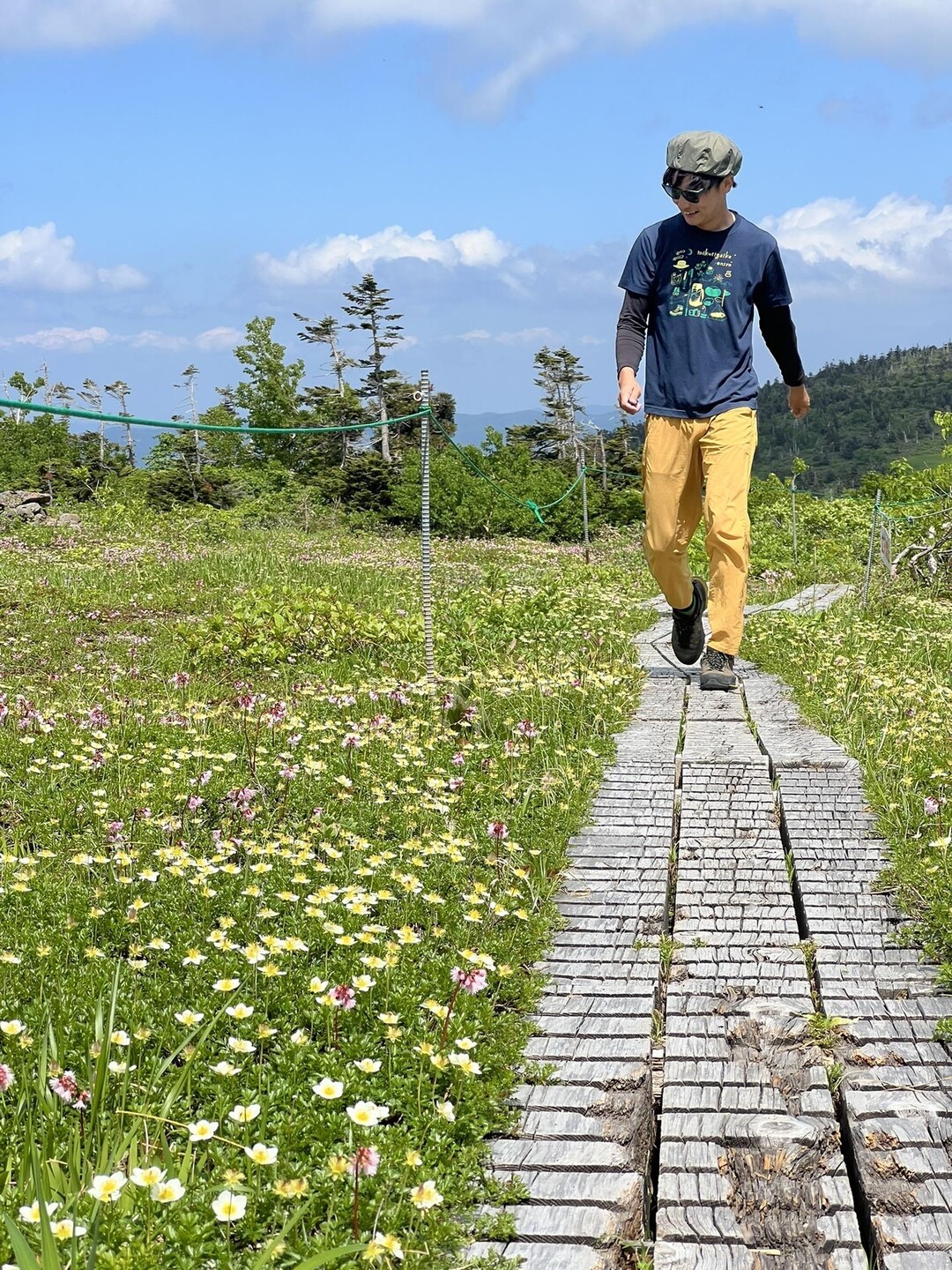 【秋田・森吉山】6/19高山植物開花状況🌸 / yanagi_outdoorさんの森吉山の活動データ | YAMAP / ヤマップ