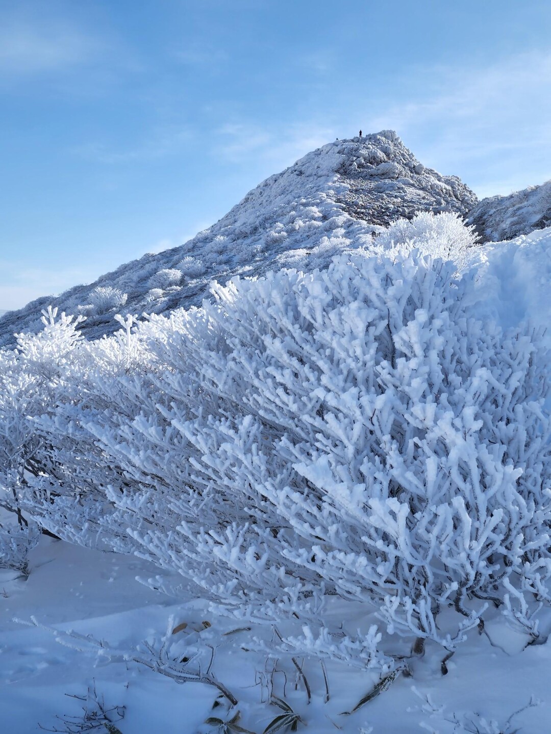 霧氷の那須岳へ / jmamaさんの茶臼岳（那須岳）・三本槍岳・赤面山の活動データ | YAMAP / ヤマップ