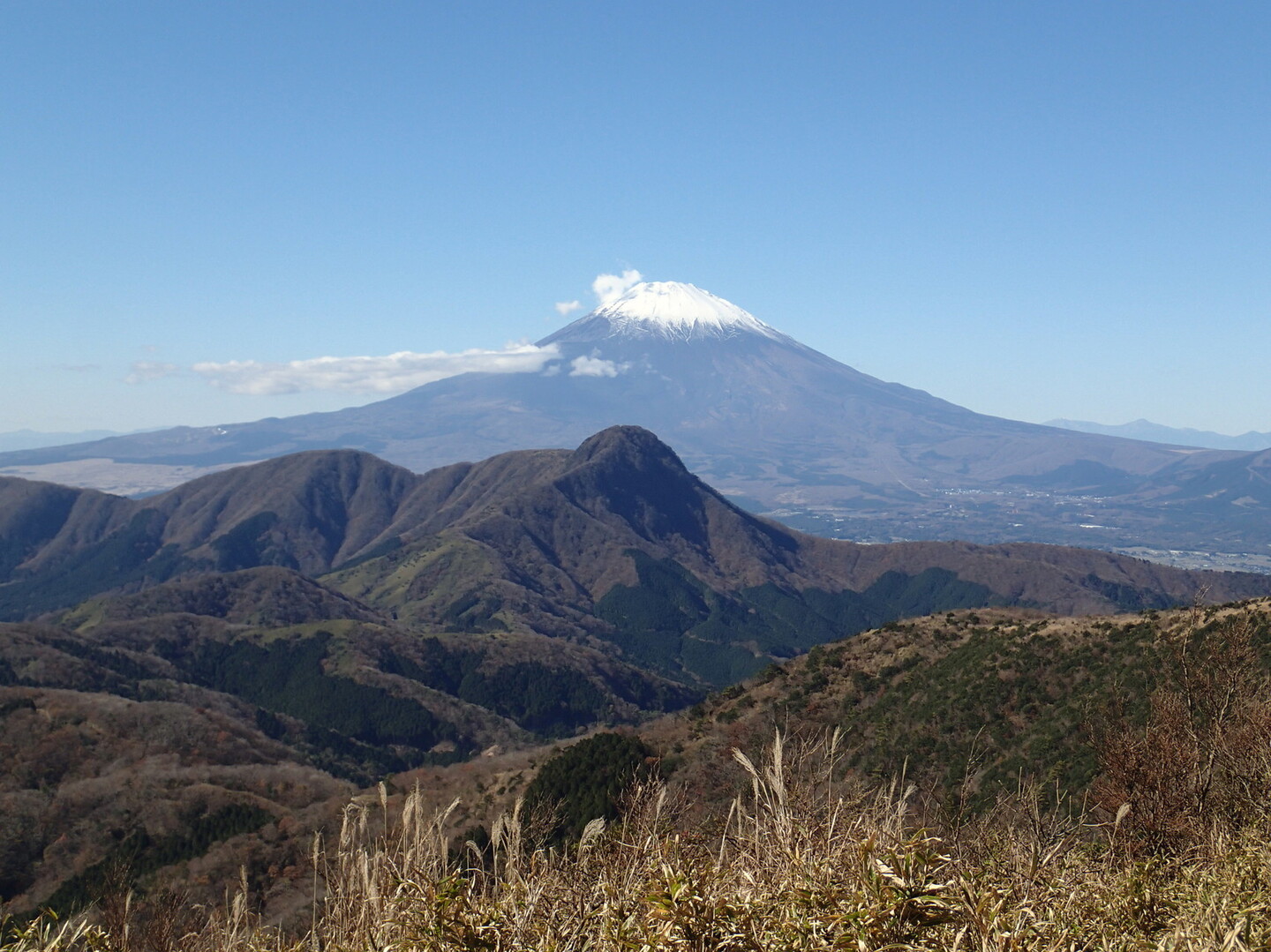 火打石岳988m～明神ヶ岳1,169m～明星ヶ岳924m 勘太郎の湯 日帰り / おまゆさんの金時山・明神ヶ岳の活動データ | YAMAP / ヤマップ