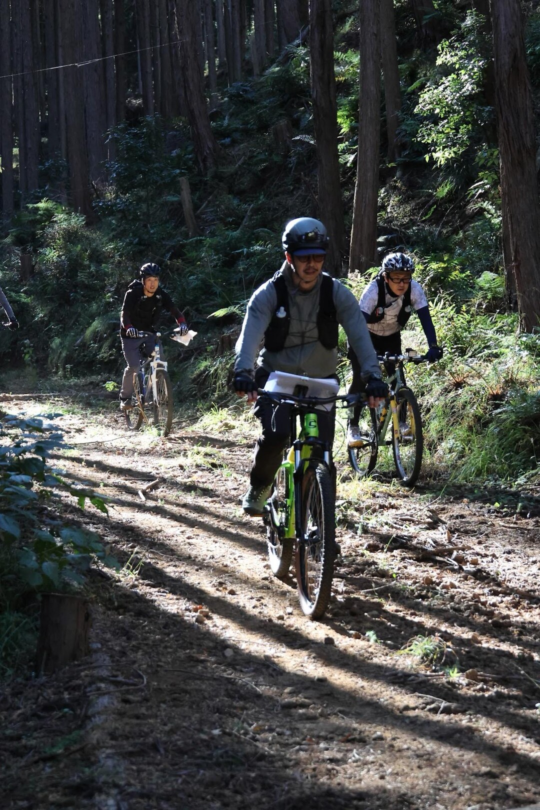 大山阿夫利アドベンチャーレース / Yusukeさんの大山の活動データ | YAMAP / ヤマップ