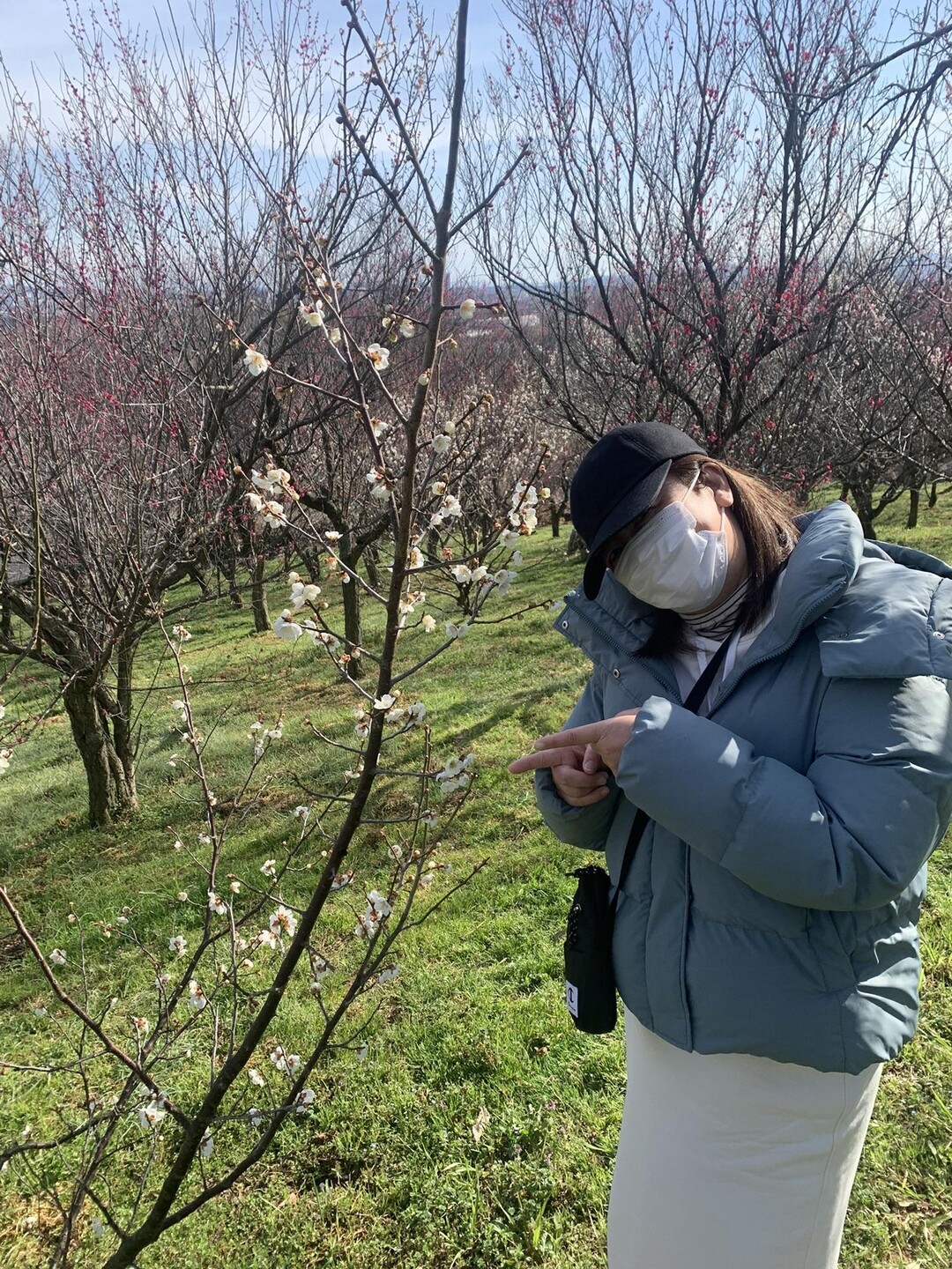 雄岡山・雌岡山-2024-02-24 / 🎀kaori🍎さんの雄岡山・雌岡山の活動データ | YAMAP / ヤマップ