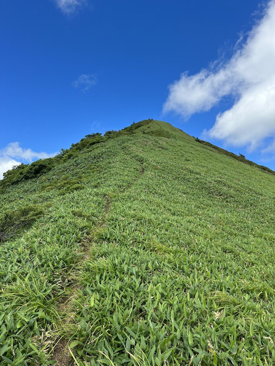 保井野から堂ヶ森&ニノ森 / MYさんの石鎚山・堂ヶ森・二ノ森の活動データ | YAMAP / ヤマップ