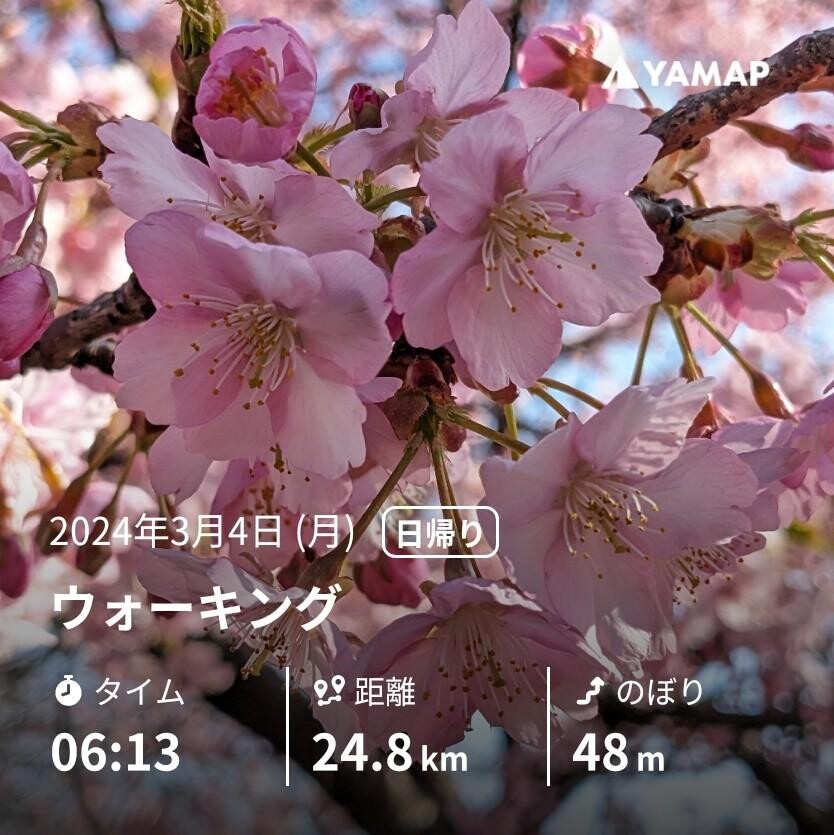 ちゃんと練習できるのは今日が最後というこ... / はなまるさんのモーメント | YAMAP / ヤマップ