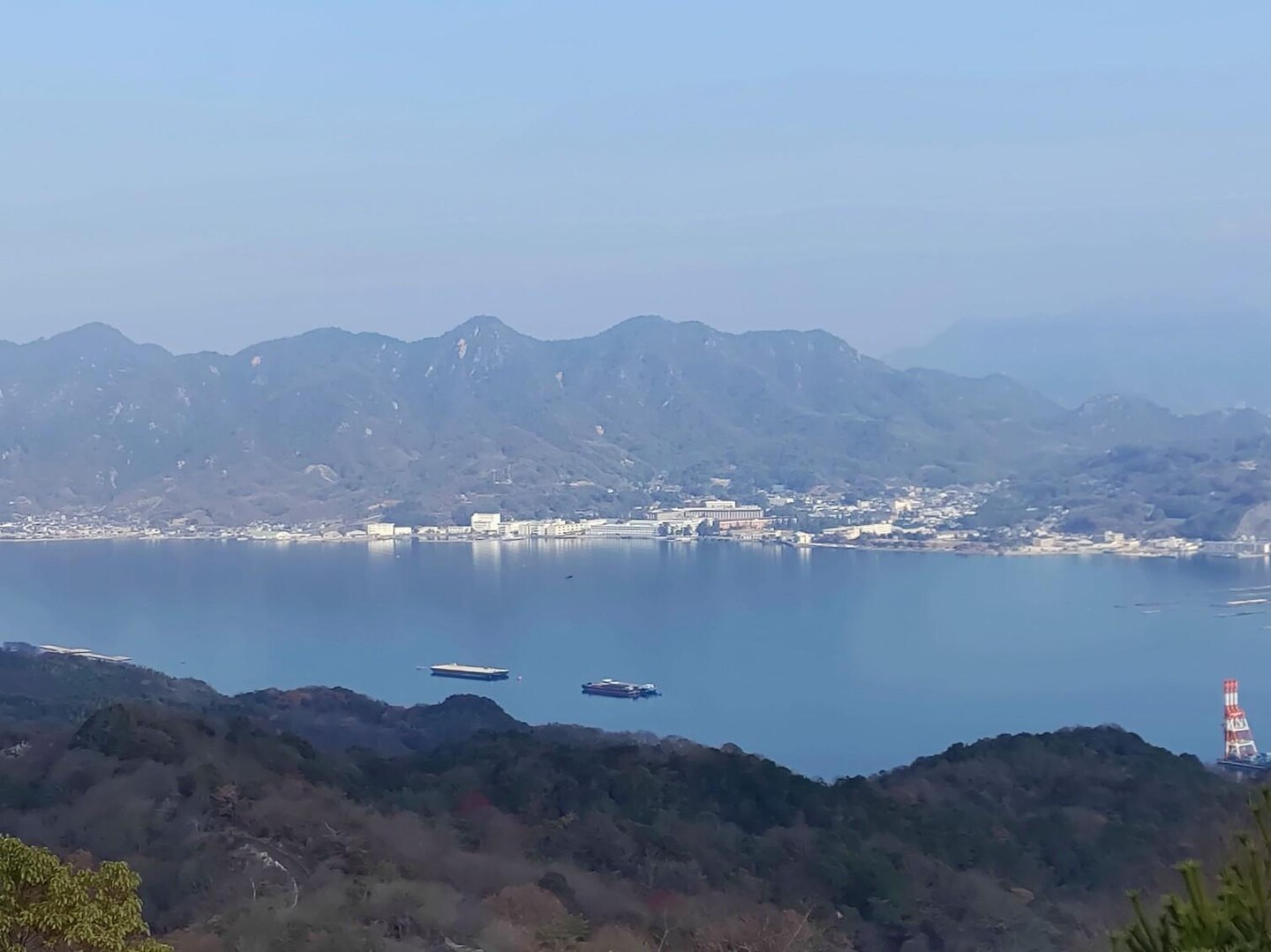 千本桜林道から 真道山 江田島市能美島-2023-12-28 / Ponさんの古鷹山・陀峯山・江田島・能美島の活動データ | YAMAP / ヤマップ