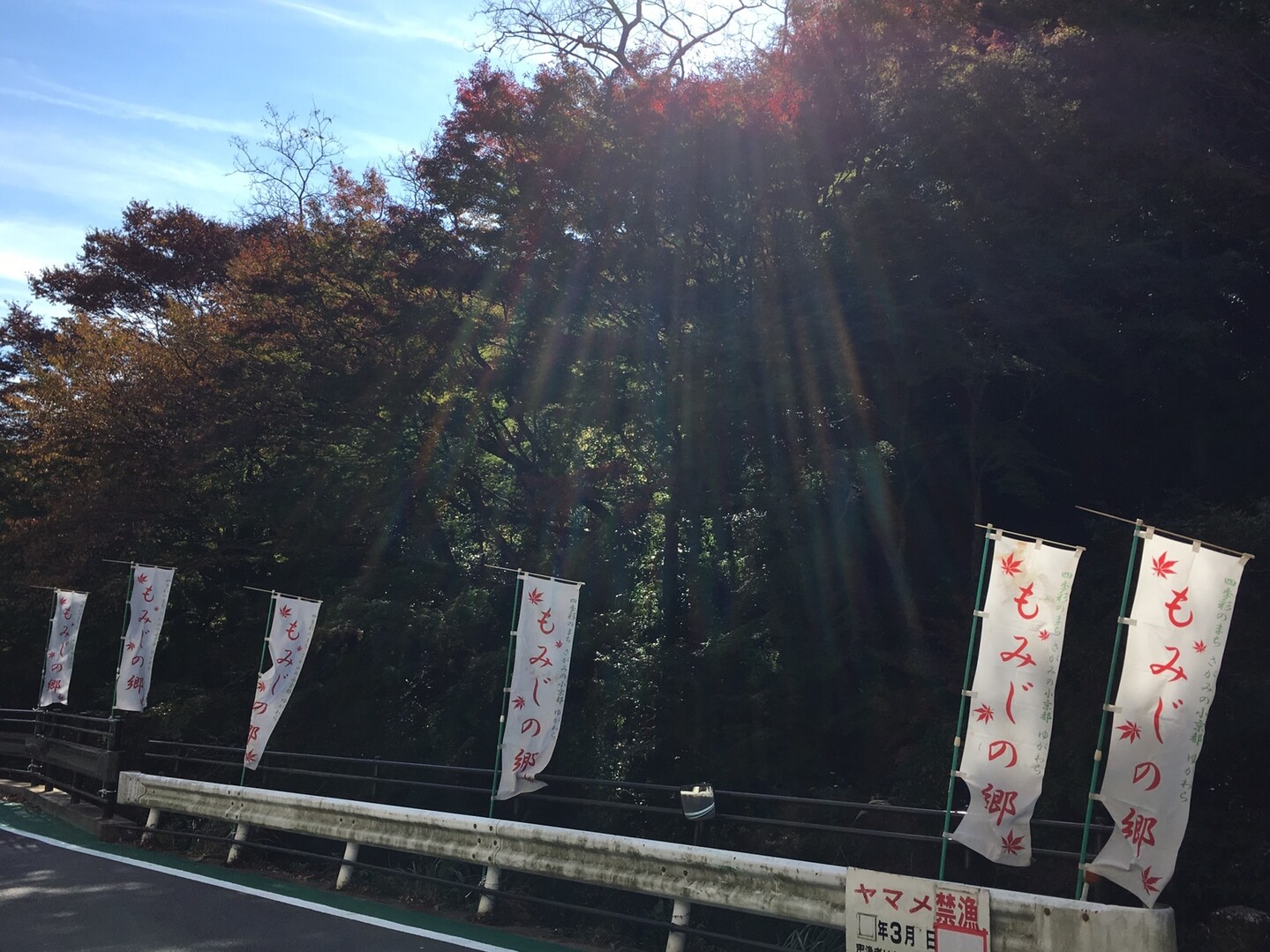 もみじの郷 / ShizCさんの幕山・南郷山の活動データ | YAMAP / ヤマップ