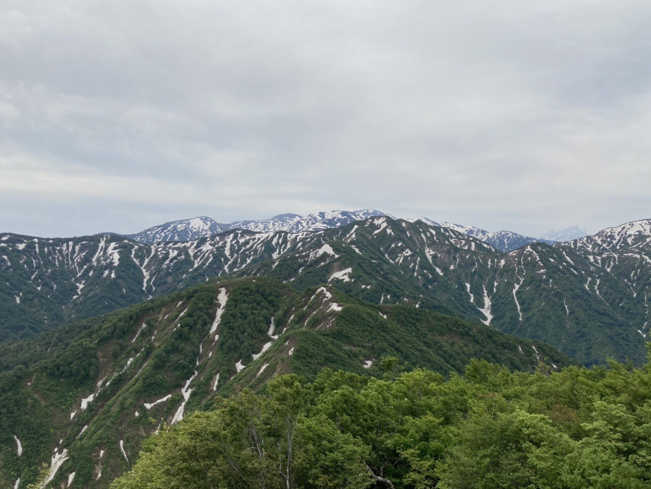 栂海新道、坂田峠より白鳥山まで。 やまこさんの白鳥山・下駒ヶ岳・犬ヶ岳の活動データ Yamap ヤマップ