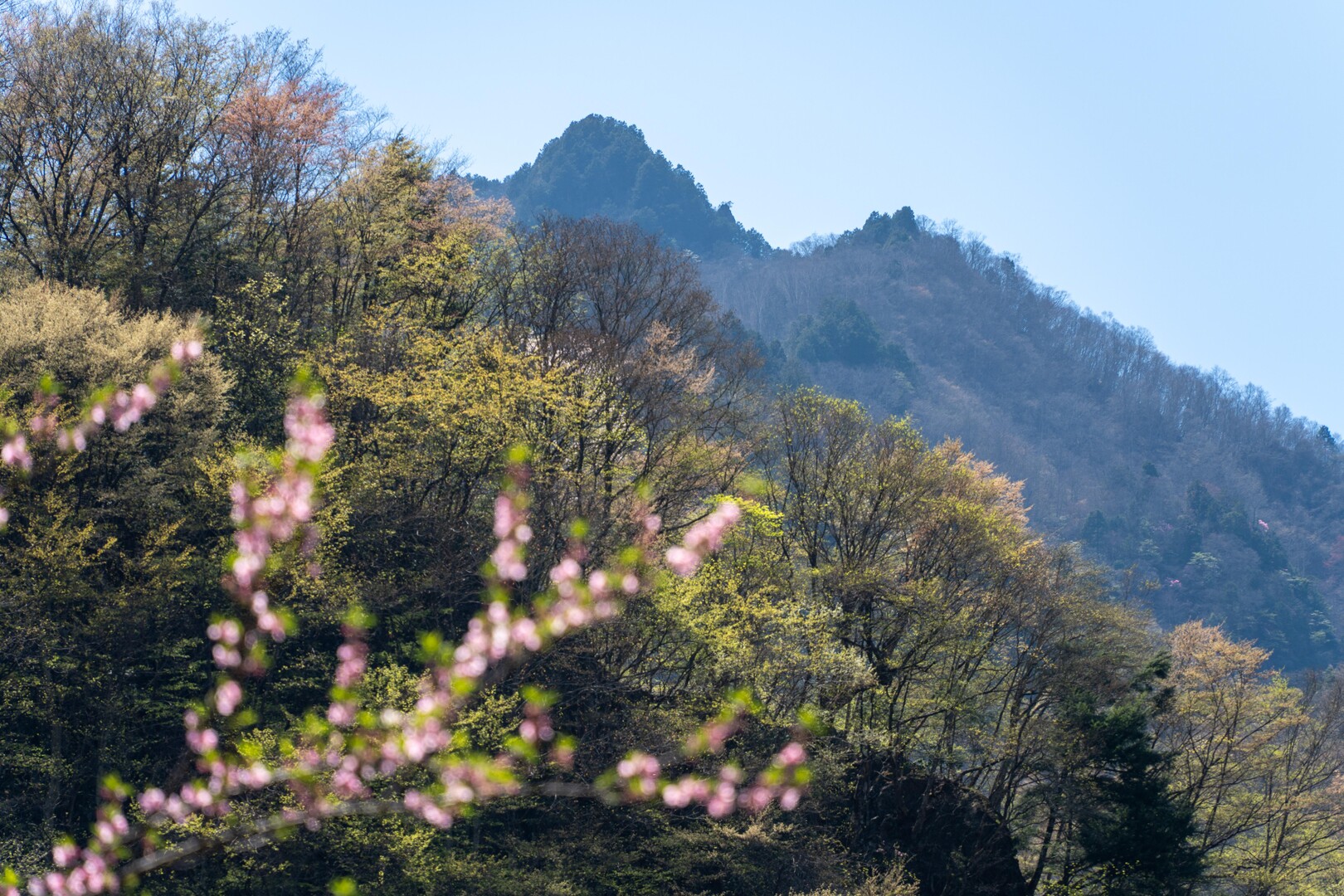 両神山 / Masa.Rさんの両神山・諏訪山・二子山の活動データ | YAMAP / ヤマップ