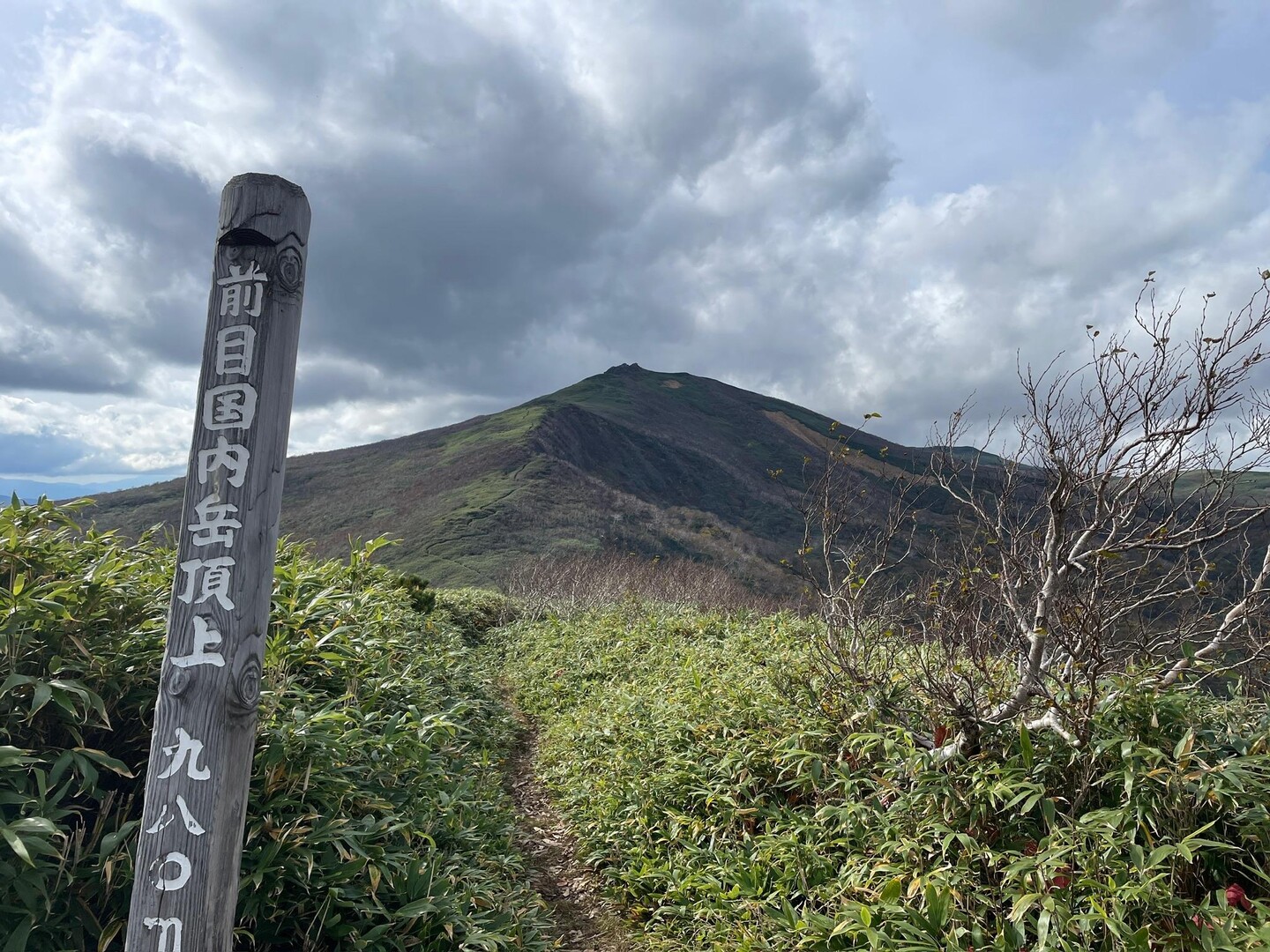 前目国内岳・目国内岳 / きくまるさんのニセコアンヌプリ・イワオヌプリ・チセヌプリの活動データ | YAMAP / ヤマップ