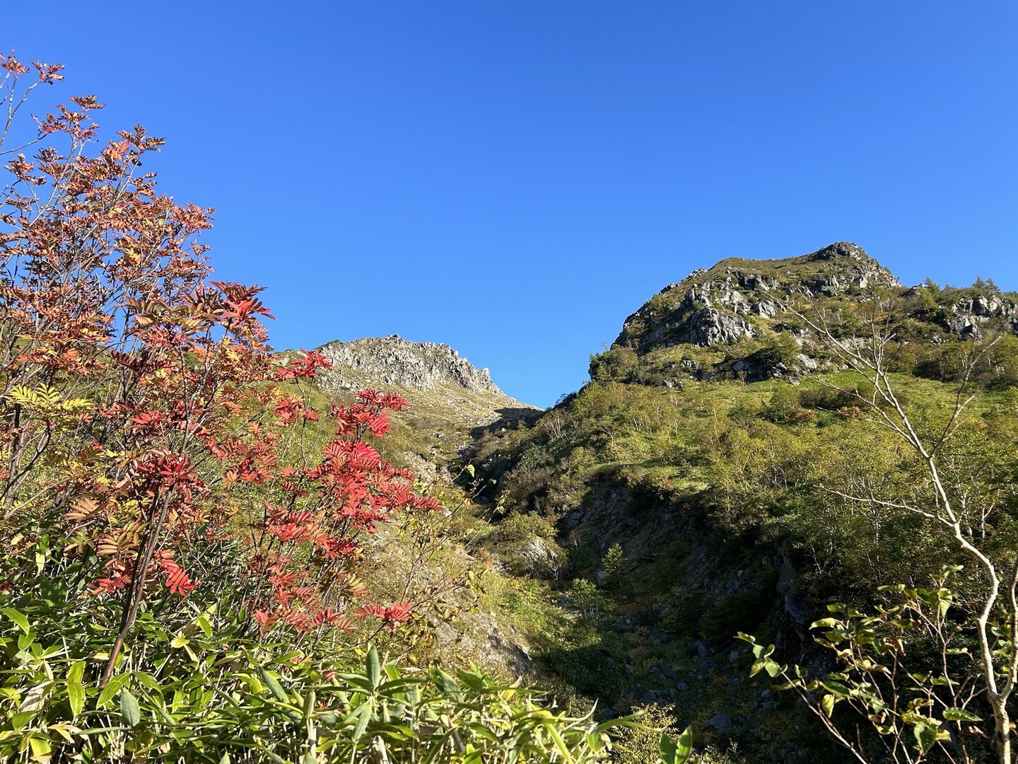 焼岳北峰 / yasさんの登山の活動データ | YAMAP / ヤマップ
