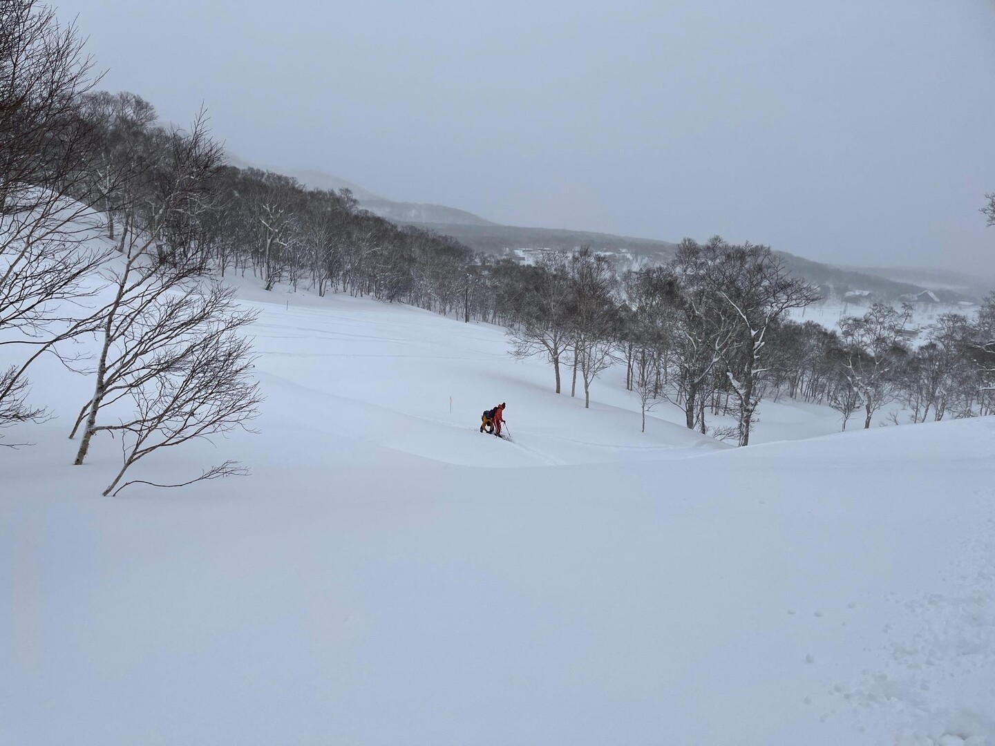 832m峰 / woodyさんのニセコアンヌプリ・イワオヌプリ・チセヌプリの活動データ | YAMAP / ヤマップ
