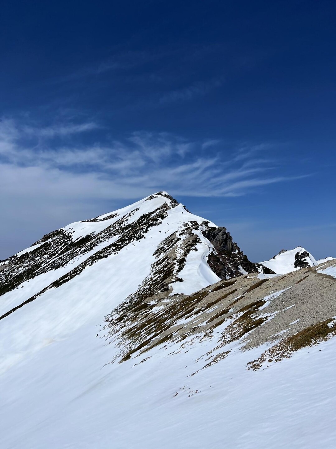 爆風の唐松岳 2024-04-20 / すーじー / steepbrew さんの鹿島槍ヶ岳・五竜岳（五龍岳）・唐松岳の活動データ | YAMAP / ヤマップ
