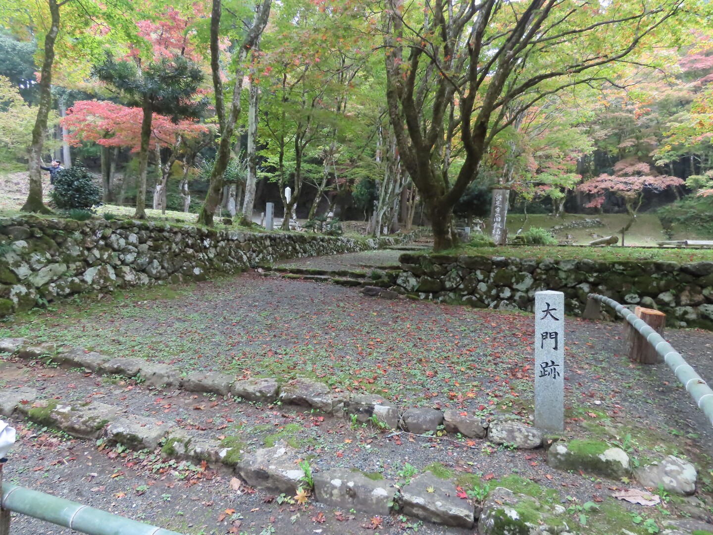 己高山 / Mr.slimさんの己高山の活動データ | YAMAP / ヤマップ