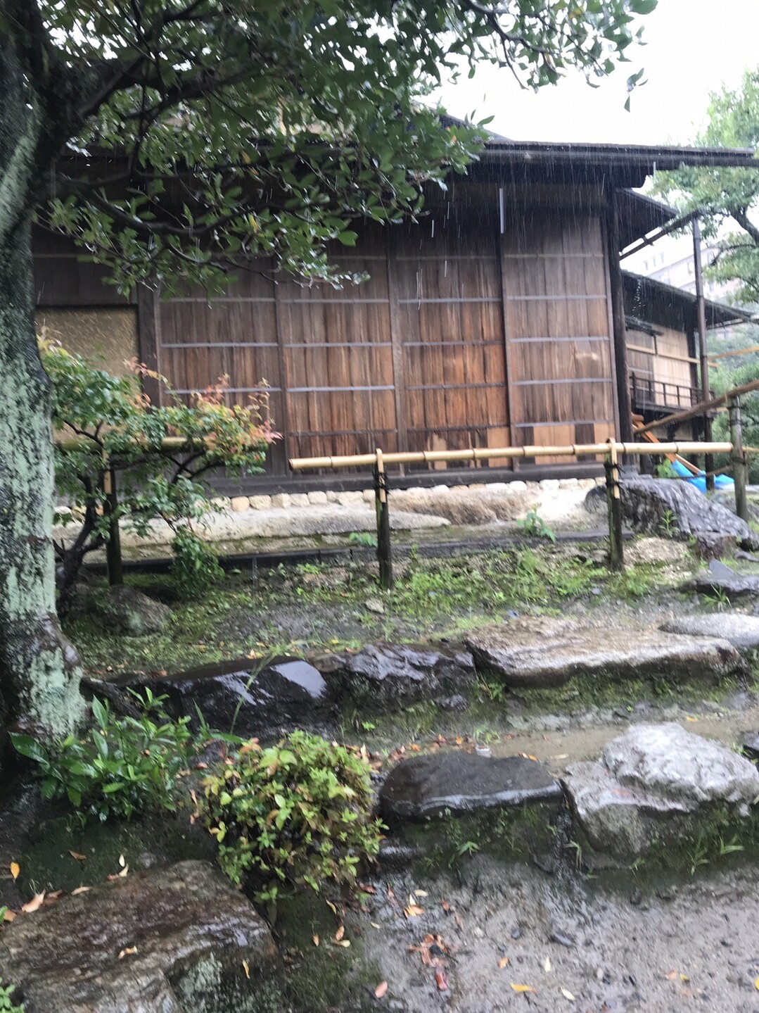 京都市-2018-09-29 / yamajazzさんの京都市の活動日記 | YAMAP / ヤマップ