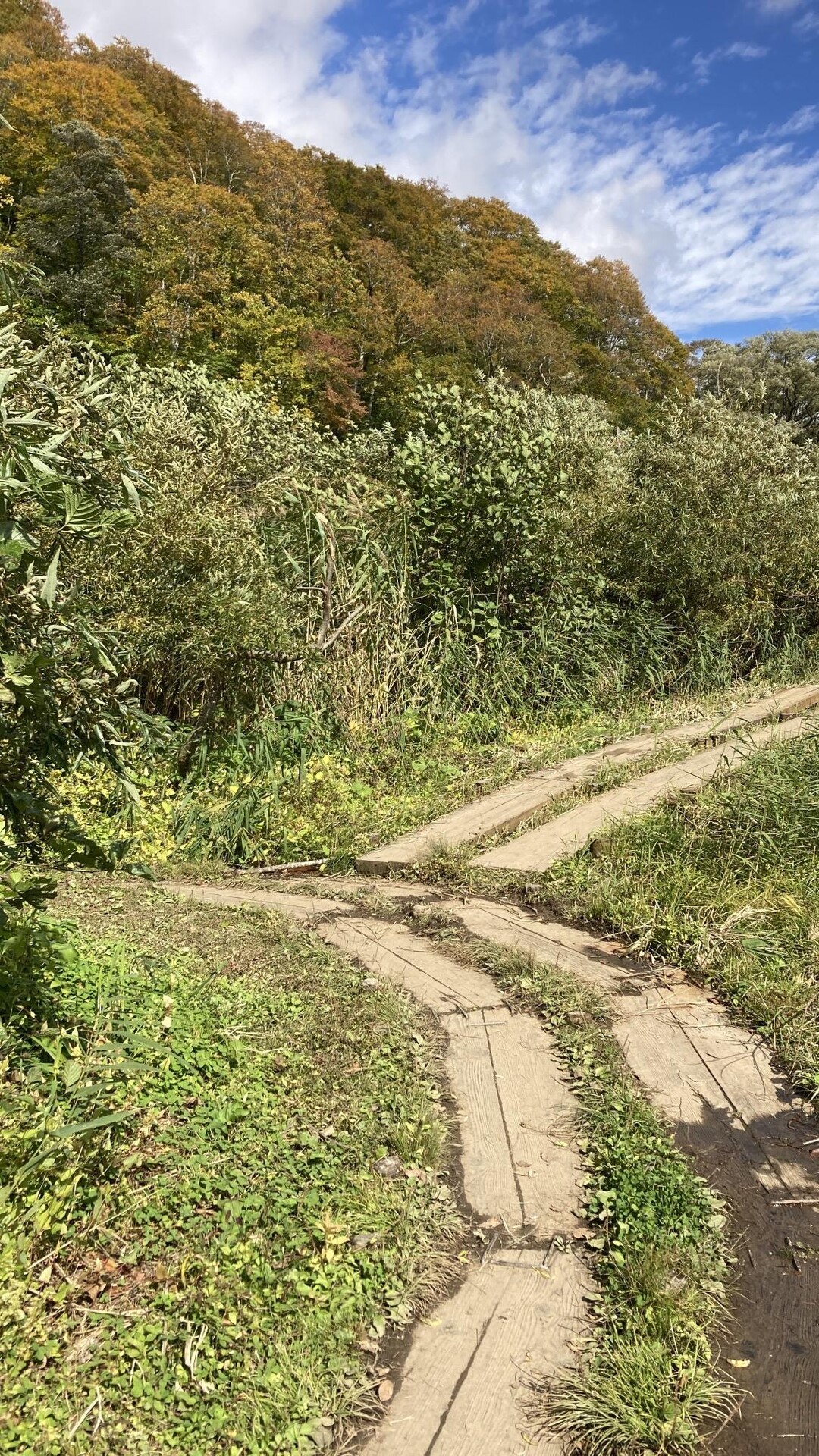 sameさんの投稿したフィールドメモ | YAMAP / ヤマップ