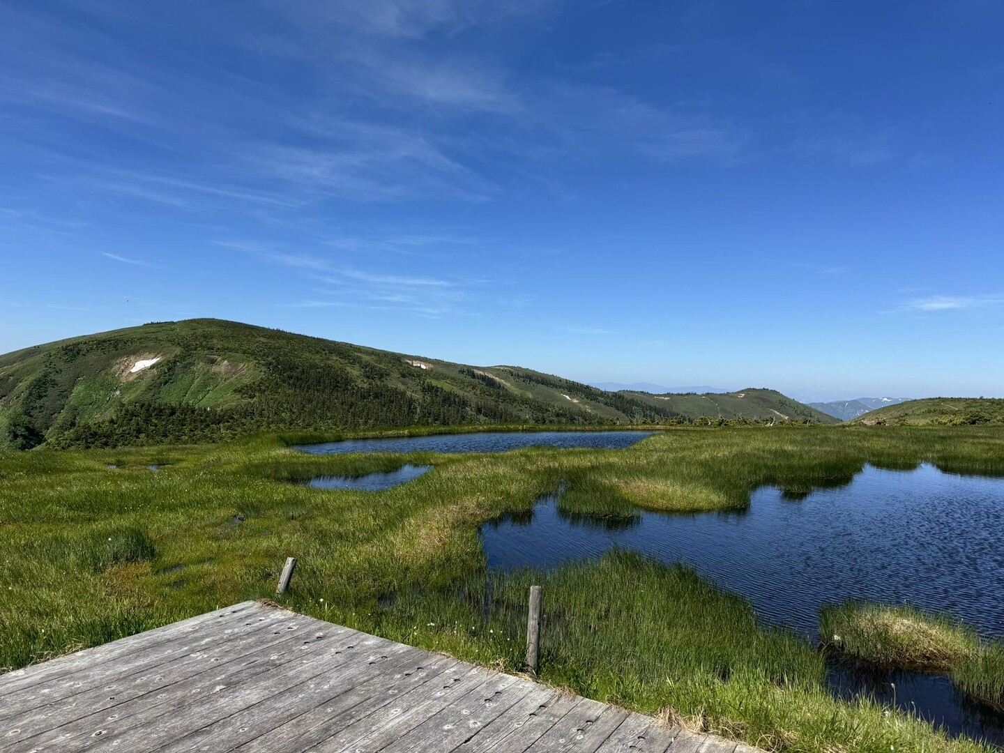 平ヶ岳☀️ロングで暑過ぎでしょ🥵 / katsさんの平ヶ岳・台倉山・池ノ岳の活動データ | YAMAP / ヤマップ