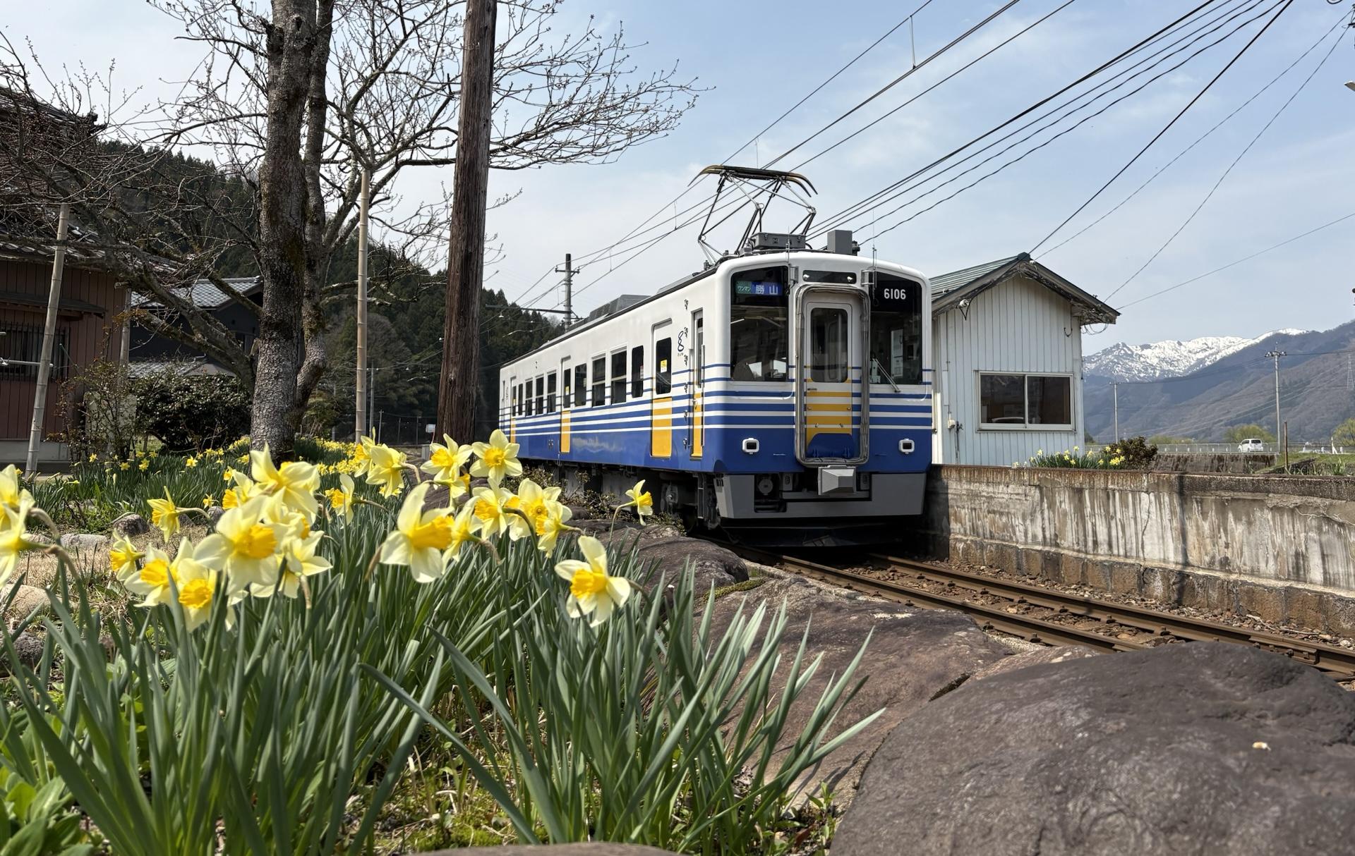 1 バンビ😆 / ゆきuんこさんの小鹿山の活動日記 | YAMAP / ヤマップ