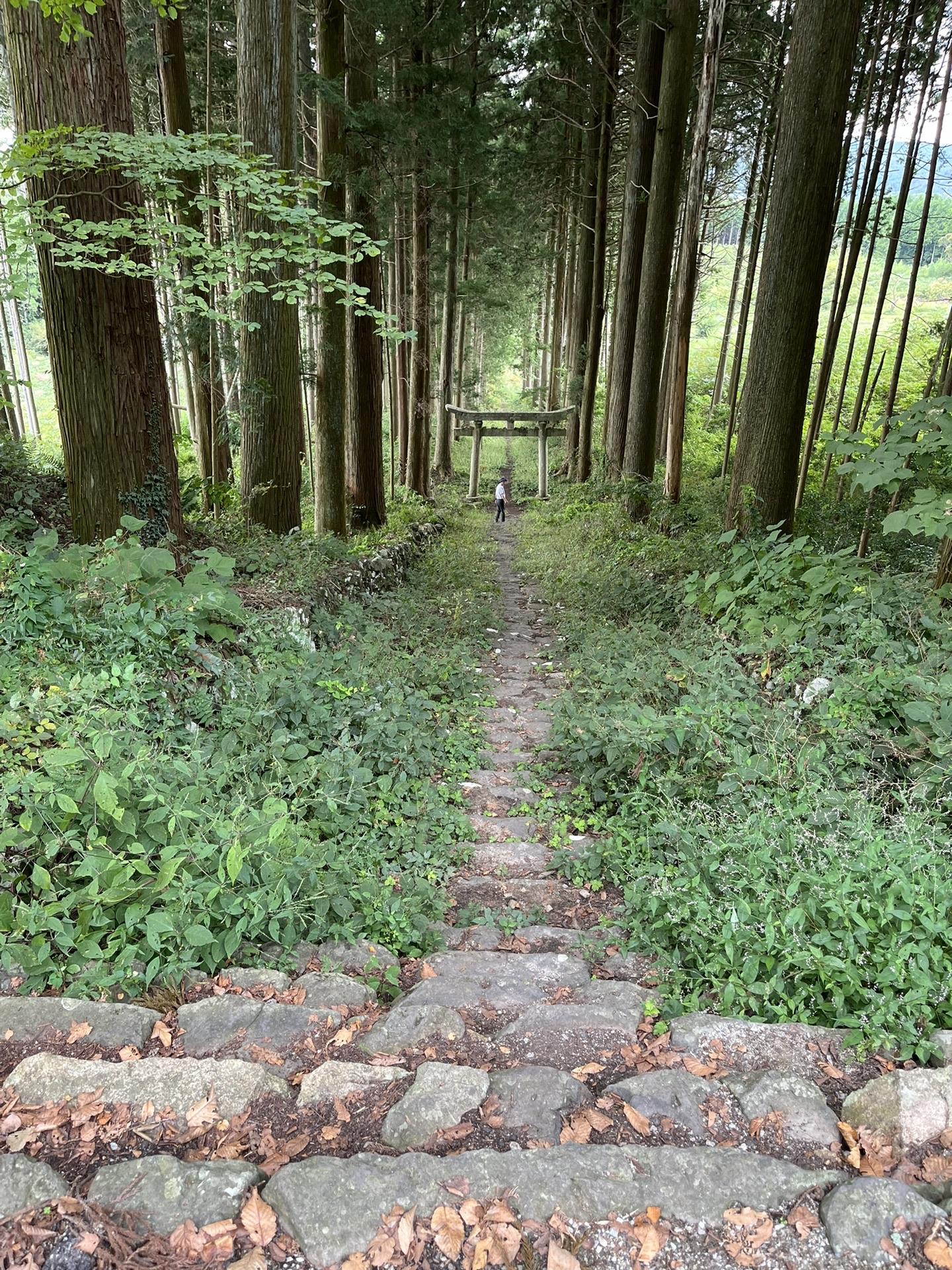 神社⛩️にお参り🙏🏼 時間が無く山頂... / masaikeさんのモーメント | YAMAP / ヤマップ