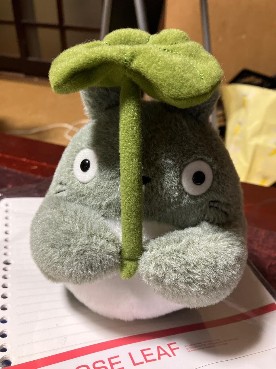 miiのページ | YAMAP / ヤマップ