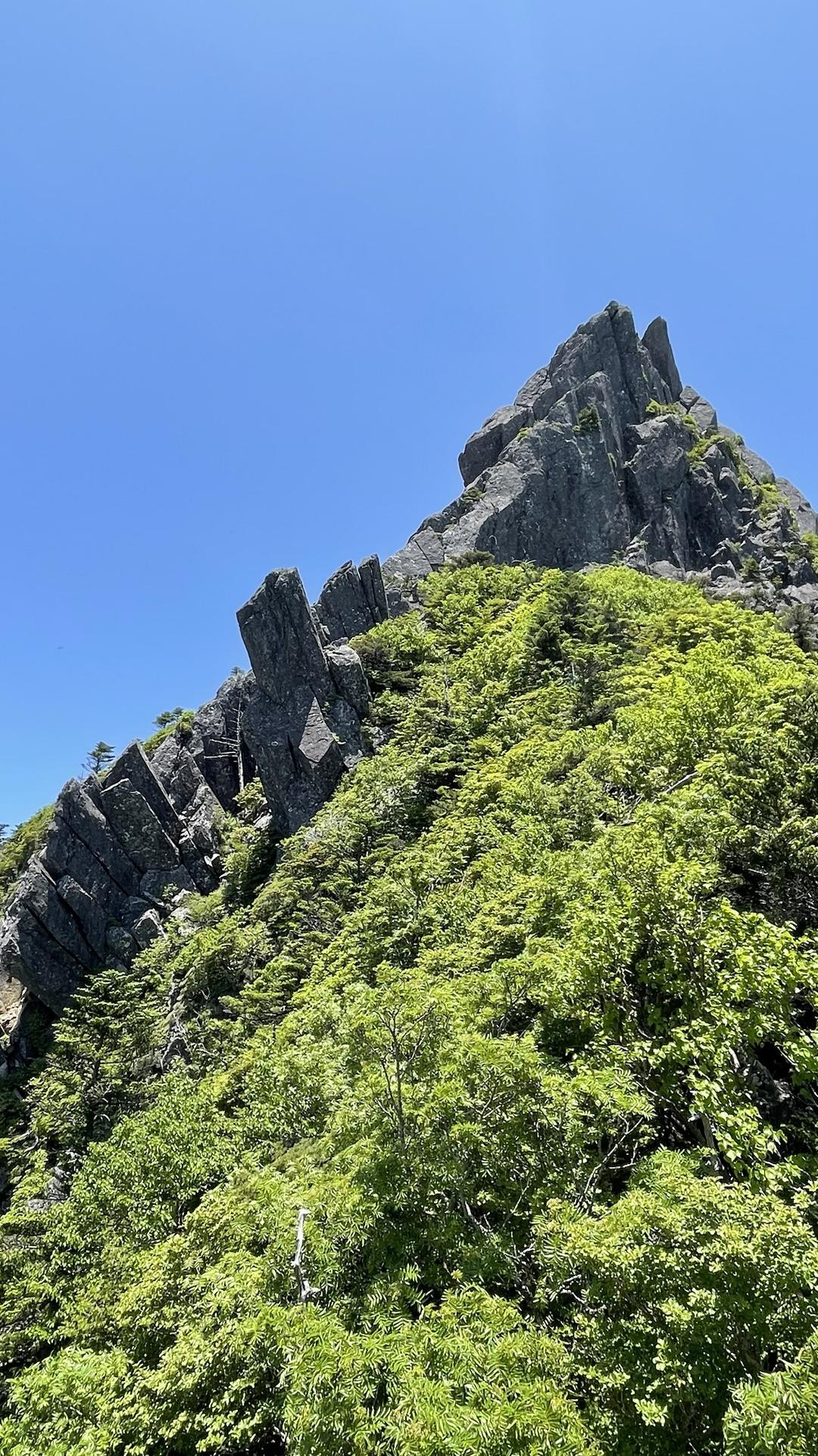 石鎚山東稜・墓場尾根いただきましたぁ〜2025.6.19 / riwonさんの石鎚山・堂ヶ森・二ノ森の活動日記 | YAMAP / ヤマップ