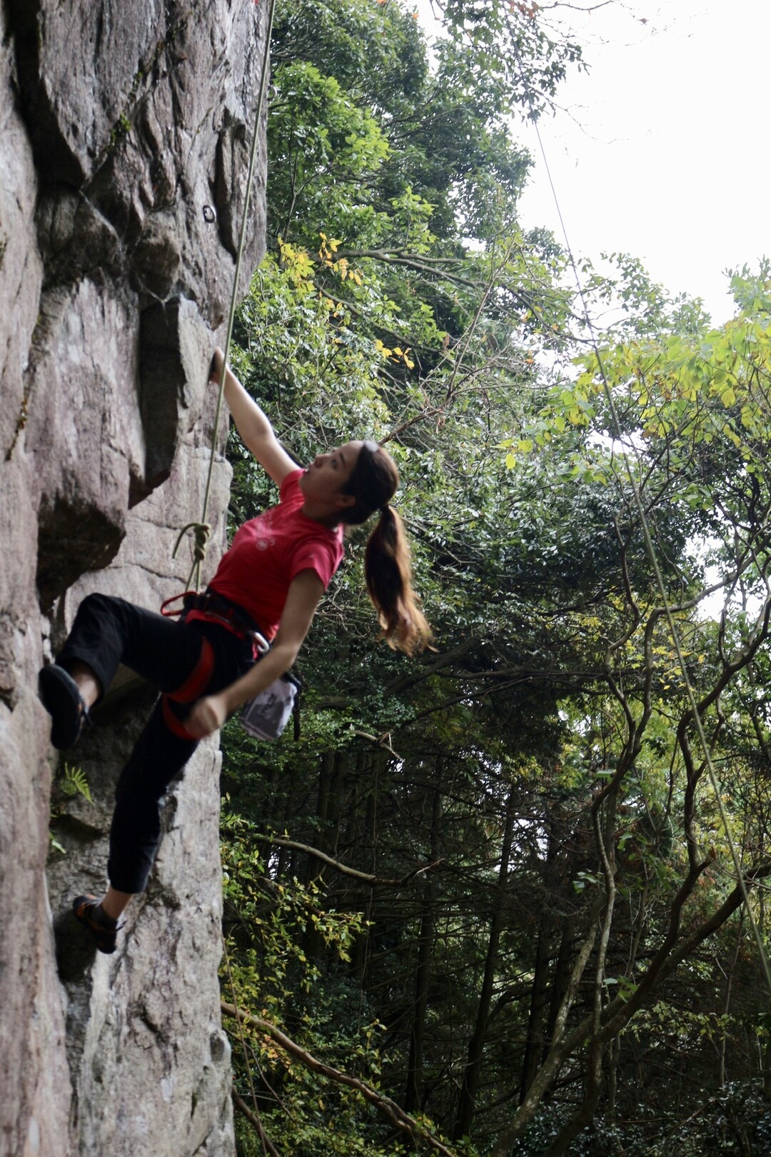 四阿屋climbing / さとちゃん(iotan)さんの九千部山・石谷山の活動日記 | YAMAP / ヤマップ