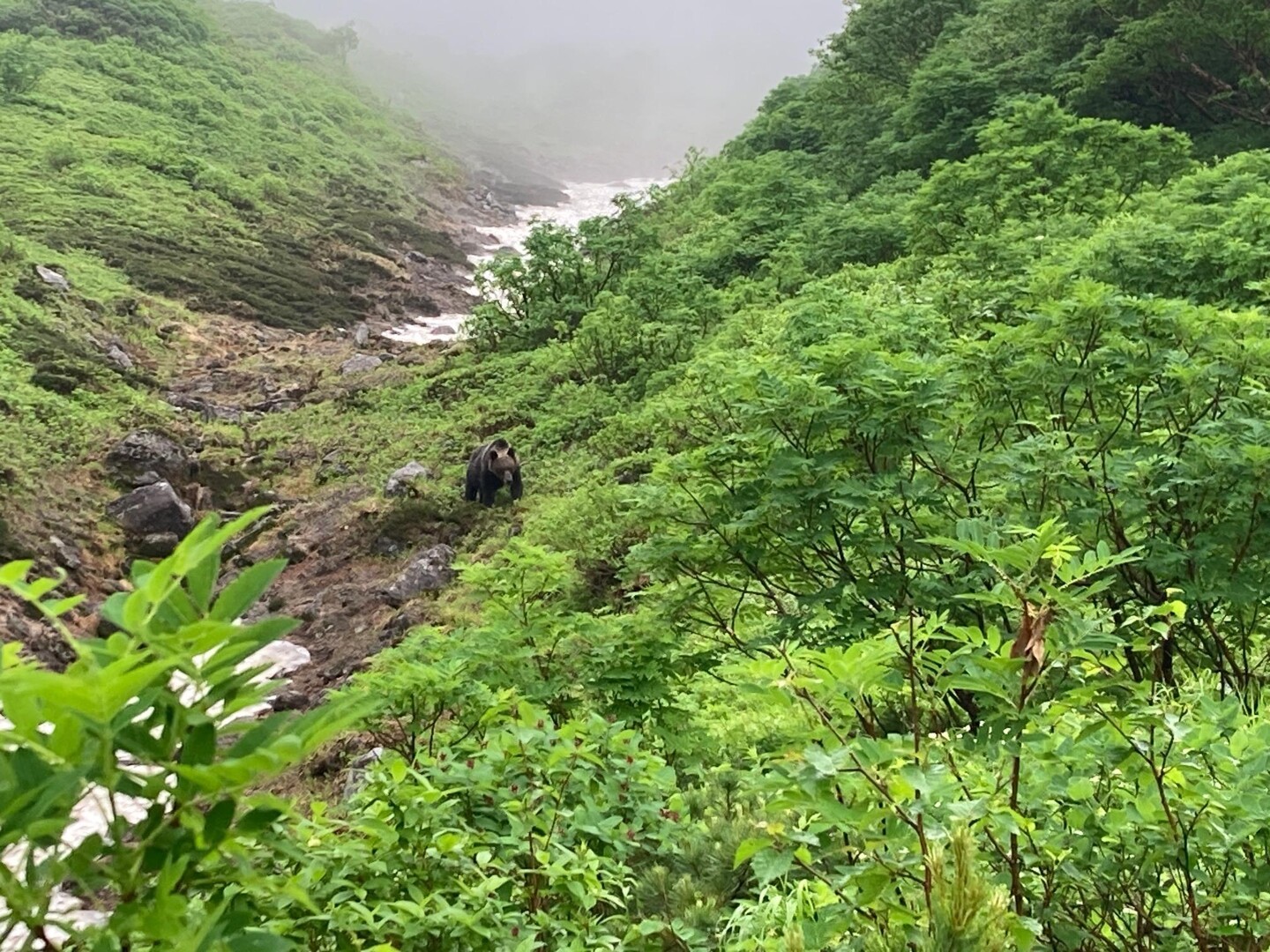 トムラウシ山での教訓 / さとしさんのGT3 2の活動データ | YAMAP / ヤマップ