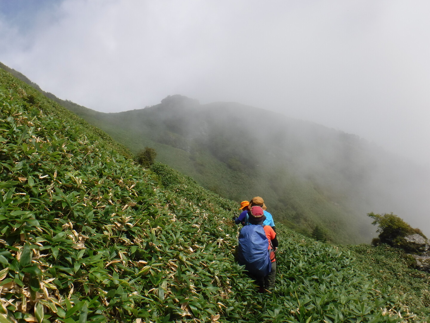 寒風山 / mt. sugさんの笹ヶ峰・寒風山・平家平の活動データ | YAMAP / ヤマップ