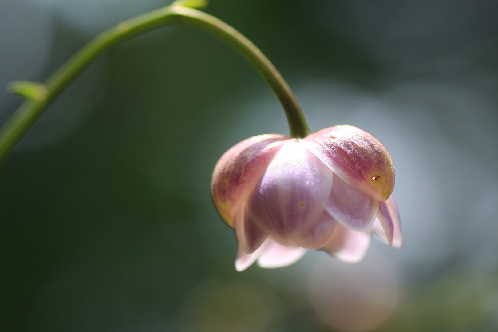 hime♪のページ | YAMAP / ヤマップ