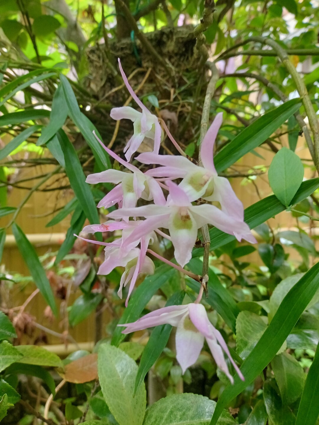 大先輩、黒田さんが御自分のコレクションか... / yuusenさんのモーメント | YAMAP / ヤマップ