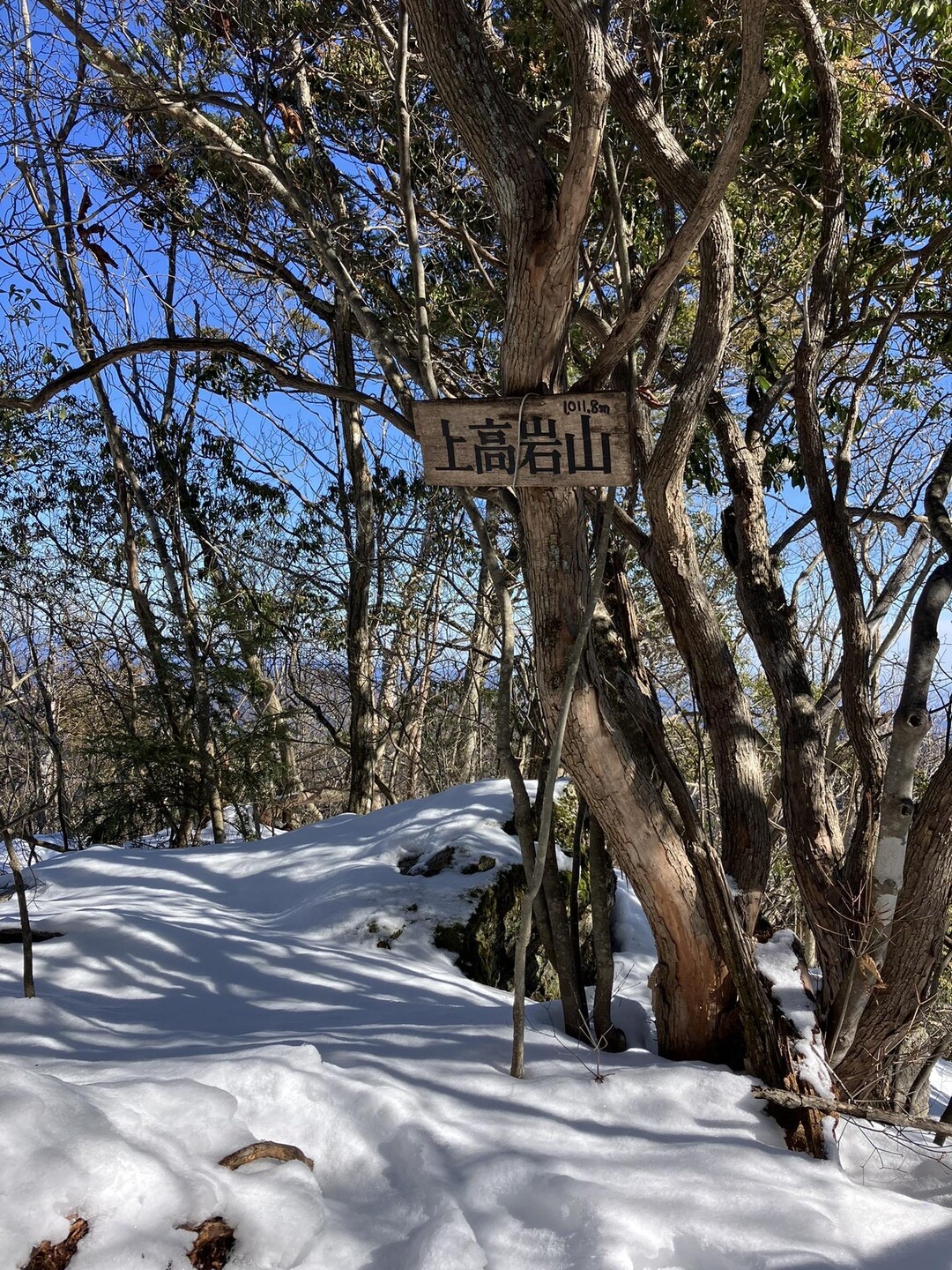 大名子ノ頭・高岩山・上高岩山・春岩山・中ノ沢ノ頭・御岳山 / aoさんの大岳山・御岳山・御前山の活動データ | YAMAP / ヤマップ