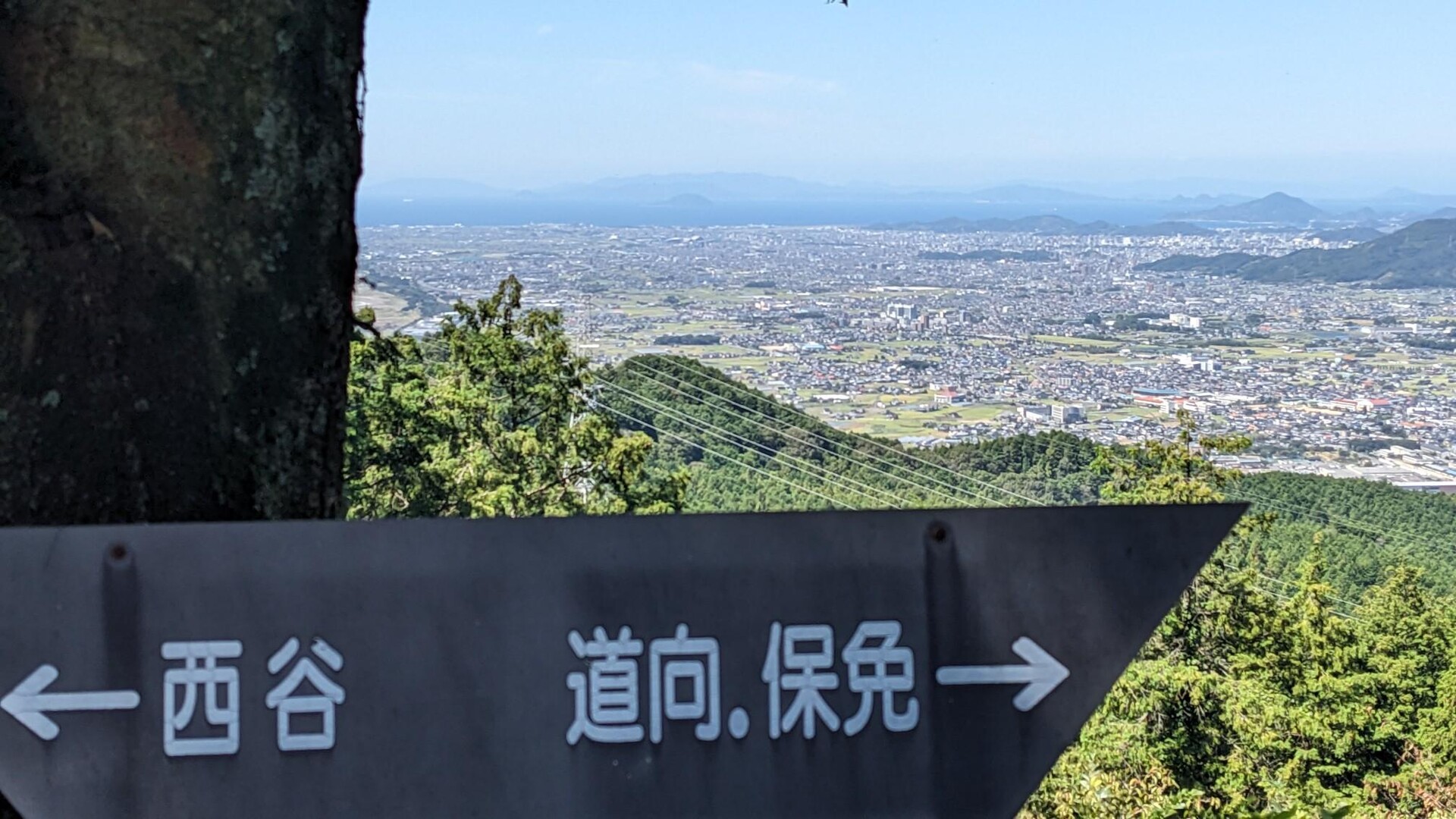 番駄ヶ森8塩ヶ森9 / LEMON🍋さんの皿ヶ嶺・梅ヶ谷山・うなめごの活動データ | YAMAP / ヤマップ