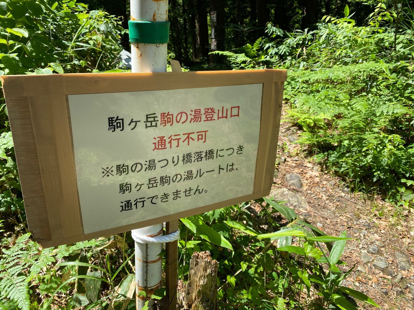 えりさんの投稿したフィールドメモ | YAMAP / ヤマップ