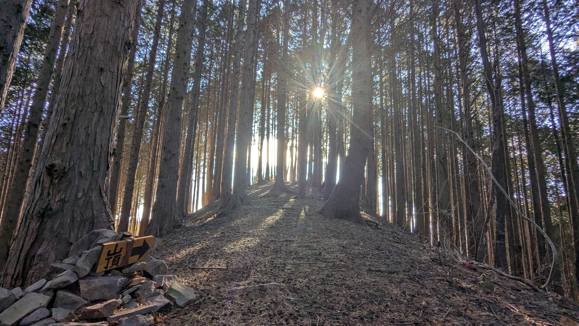 ビリヤニ求め 萬蔵山 / kkr173さんの萬蔵山の活動データ | YAMAP / ヤマップ