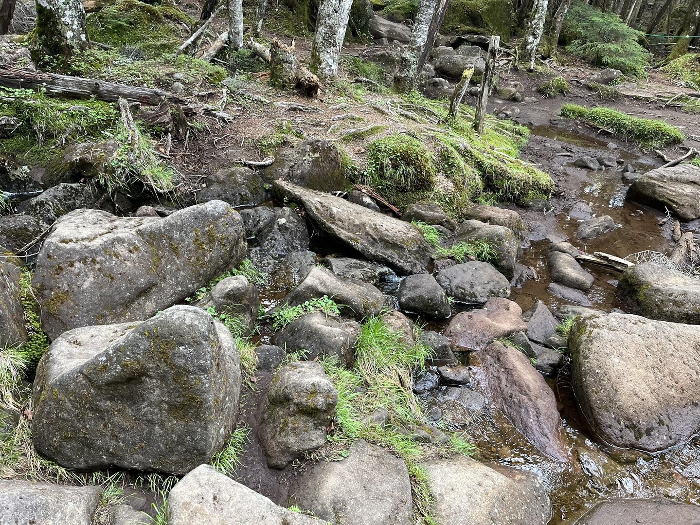 イケさんの投稿したフィールドメモ | YAMAP / ヤマップ