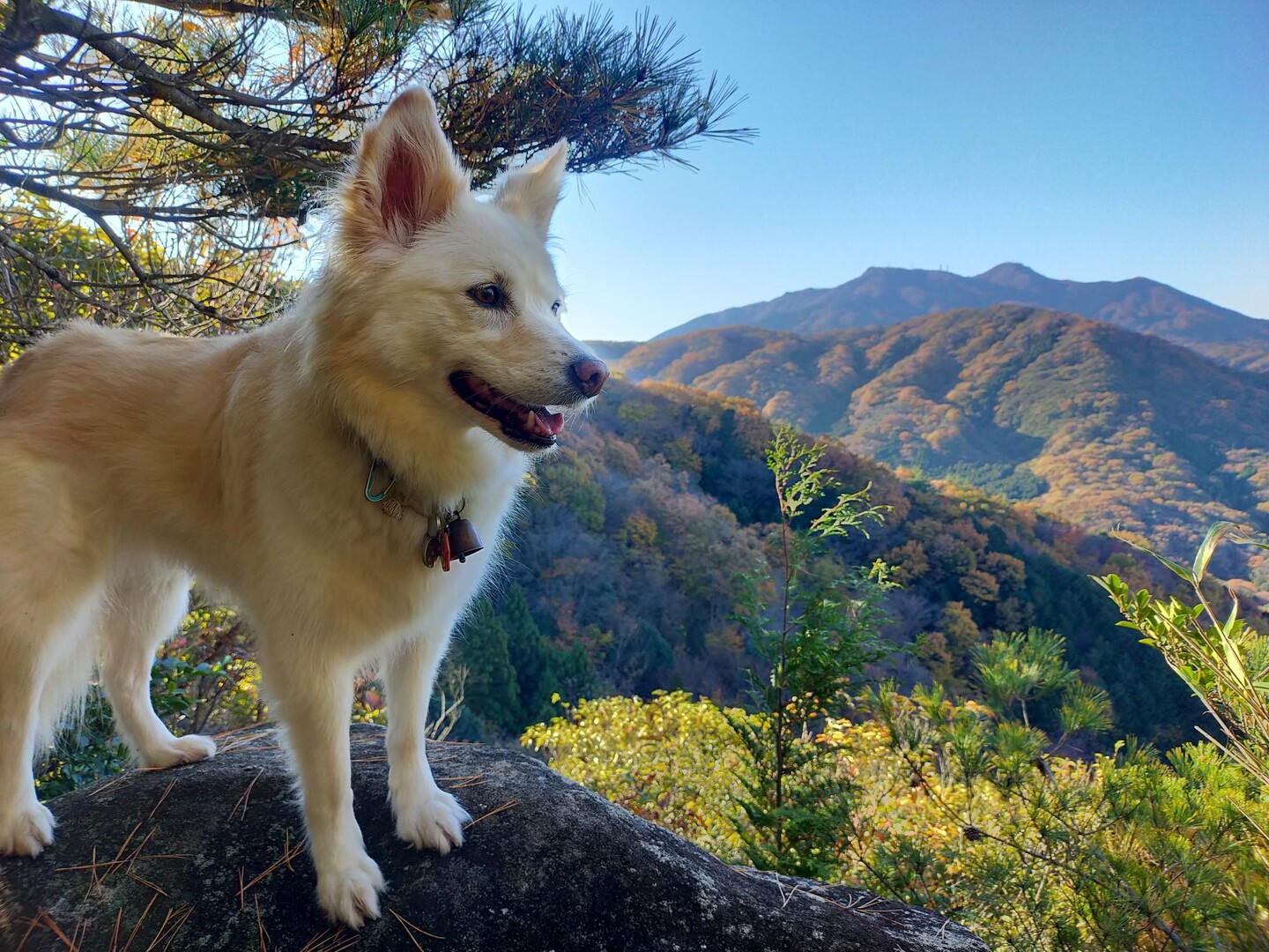 🍱TANAKA🍱のページ | YAMAP / ヤマップ