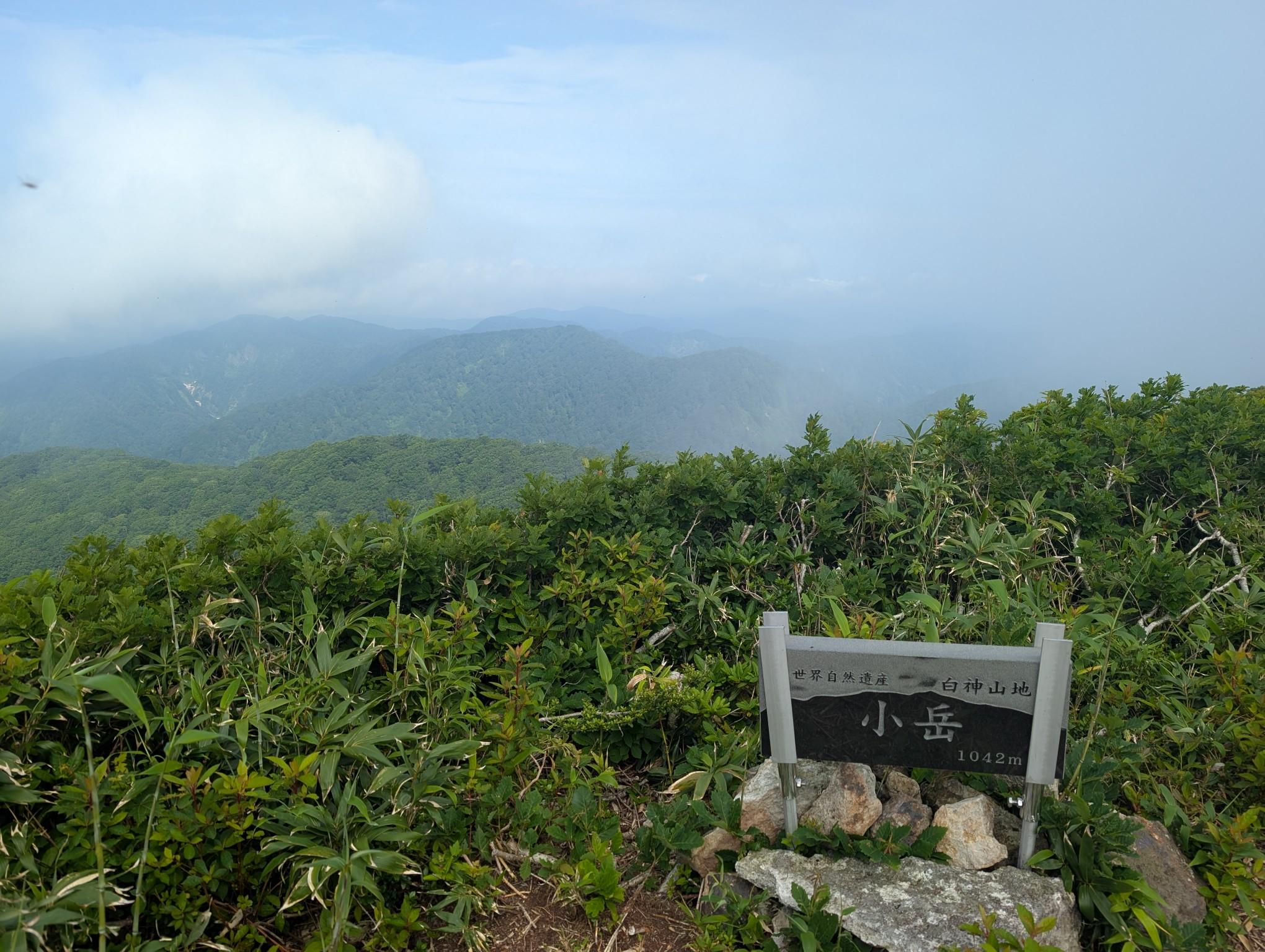 白神山地巡りの旅⛰️小岳 / Etsukoさんの小岳の活動データ | YAMAP / ヤマップ