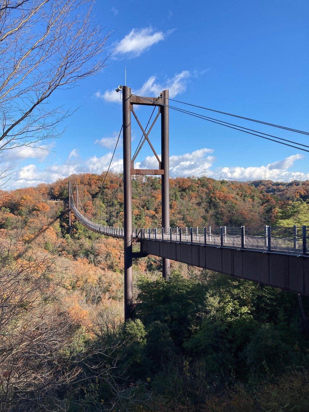 星のブランコ〜交野山 / Samさんの交野山・国見山の活動日記 | YAMAP / ヤマップ
