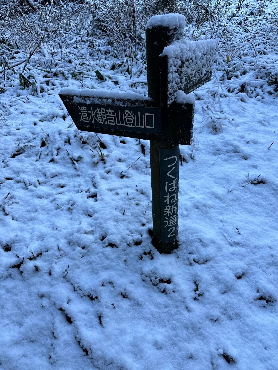 遣水観音山 / SM-peaksさんの遣水観音山・遊泉寺砂山・高野山の活動データ | YAMAP / ヤマップ