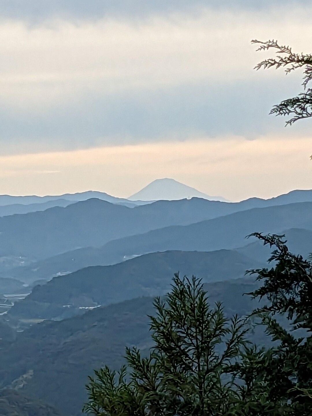 富幕山 / so-sukeさんの富幕山・尉ヶ峰・竜ヶ石山の活動データ | YAMAP / ヤマップ
