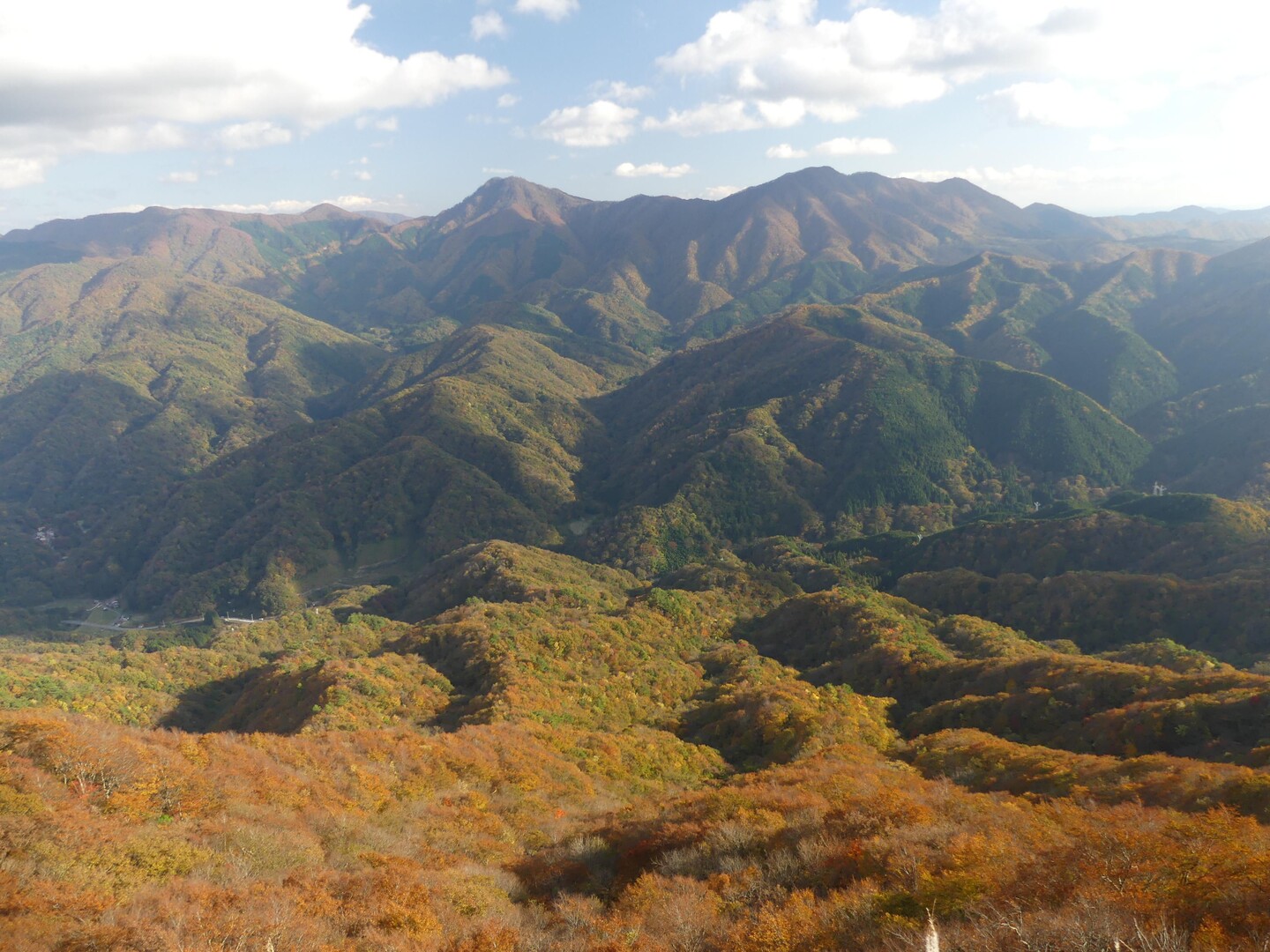 🍁紅葉の鯛ノ巣山 / KAZU3さんの大万木山・琴引山（弥山）・指谷山・鯛ノ巣山の活動データ | YAMAP / ヤマップ