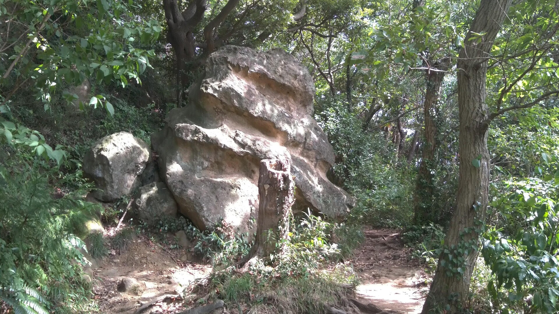 鎌倉アルプス（勝上山・鷲峰山・大平山・天園） / papa_703さんの鎌倉アルプス（大平山・天台山）の活動データ | YAMAP / ヤマップ