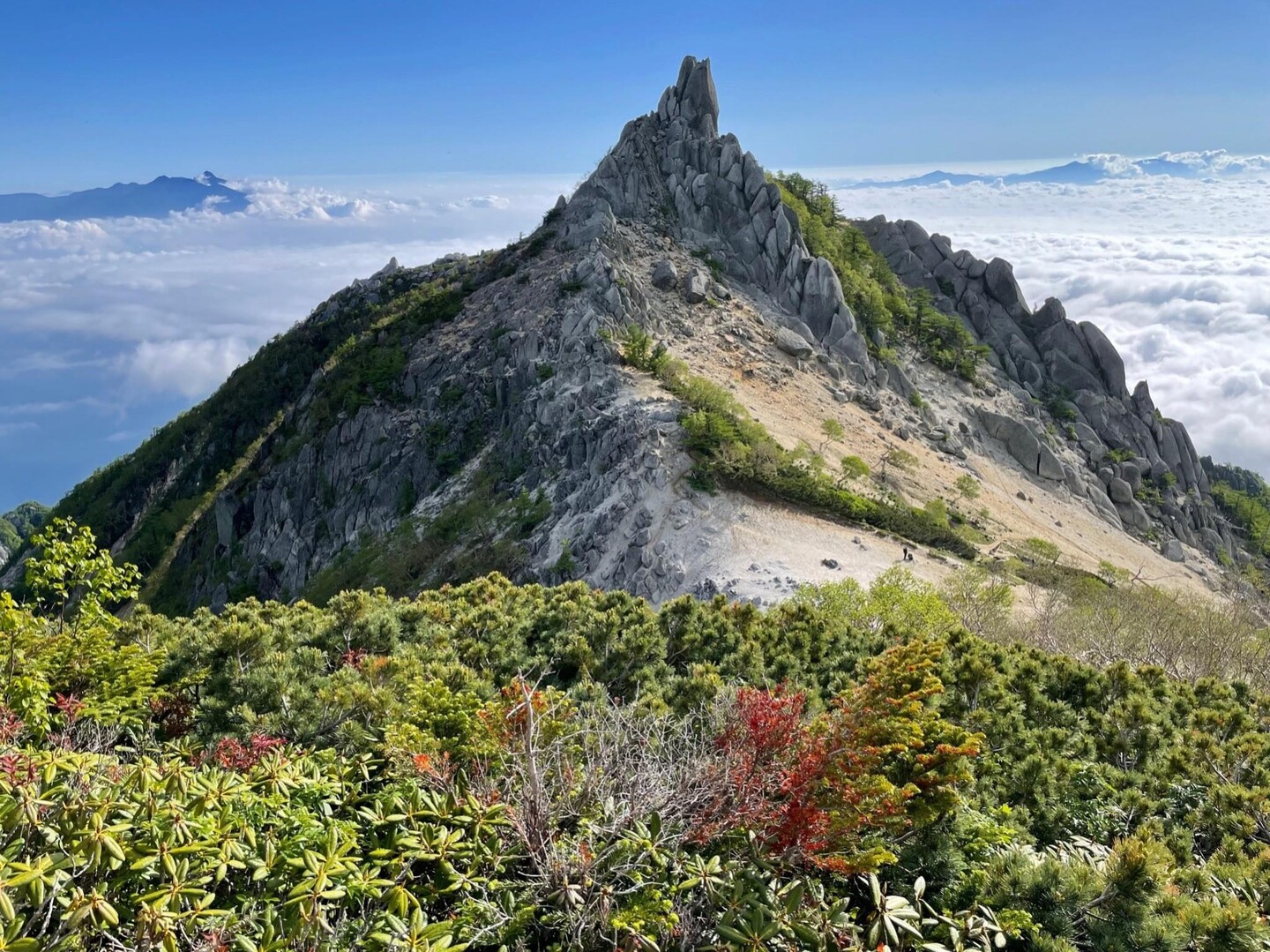 鳳凰三山 / aya-koさんの鳳凰山・地蔵岳・観音岳・薬師岳の活動データ | YAMAP / ヤマップ