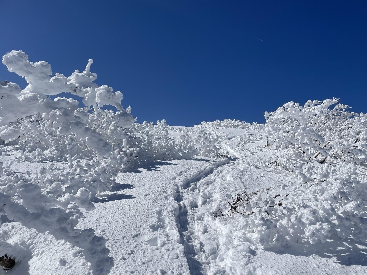 前山・銀杏峯 / monさんの銀杏峰・部子山の活動データ | YAMAP / ヤマップ