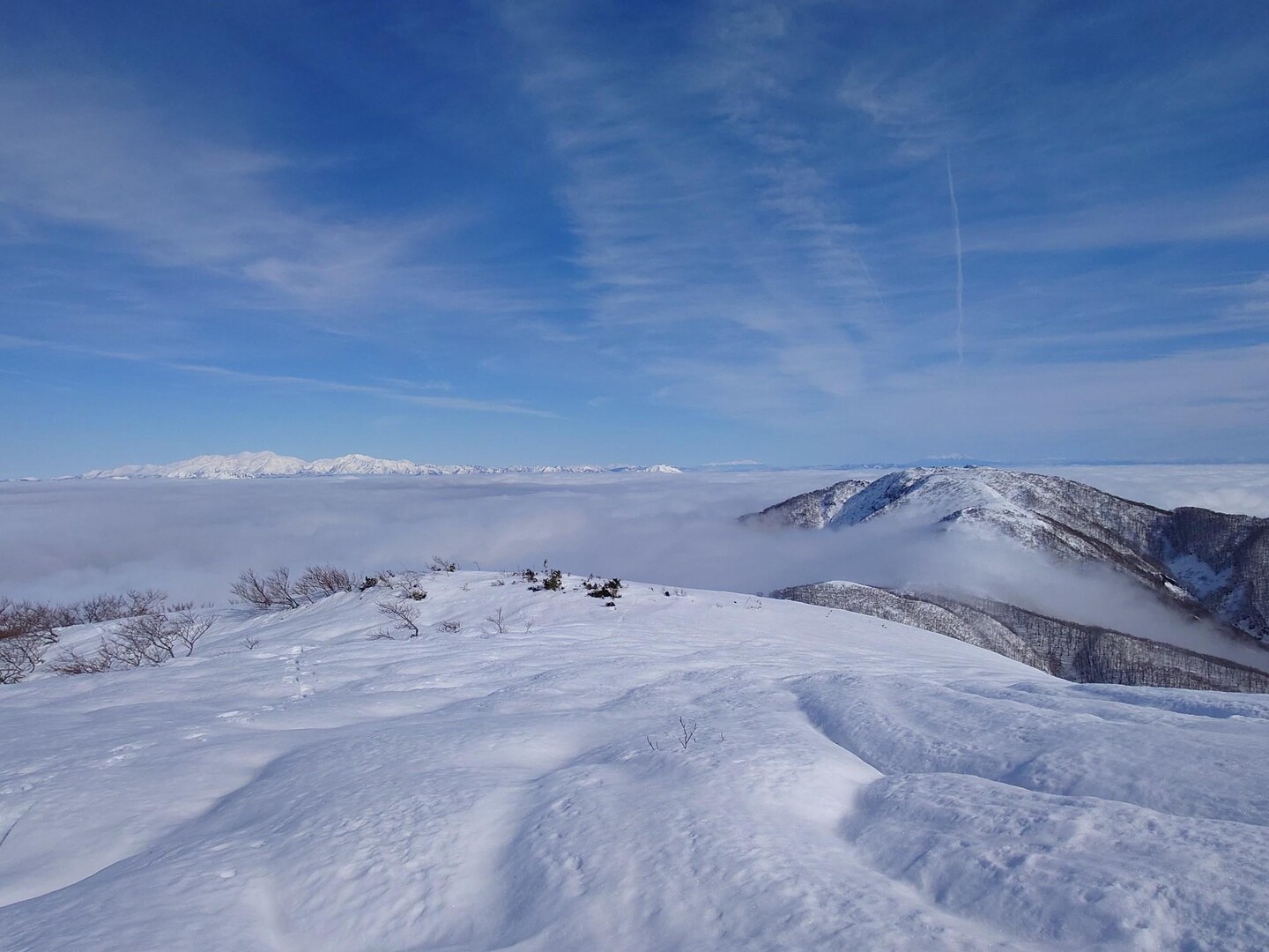 銀杏峯〜部子山・ガス後青空🔵 / reinさんの銀杏峰・部子山の活動データ | YAMAP / ヤマップ