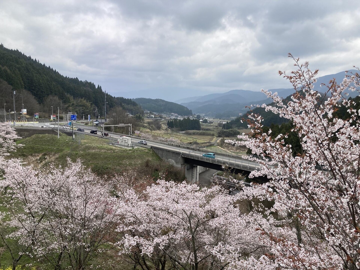 黒森山 / Ypaaさんの四国遍路その14の活動データ | YAMAP / ヤマップ