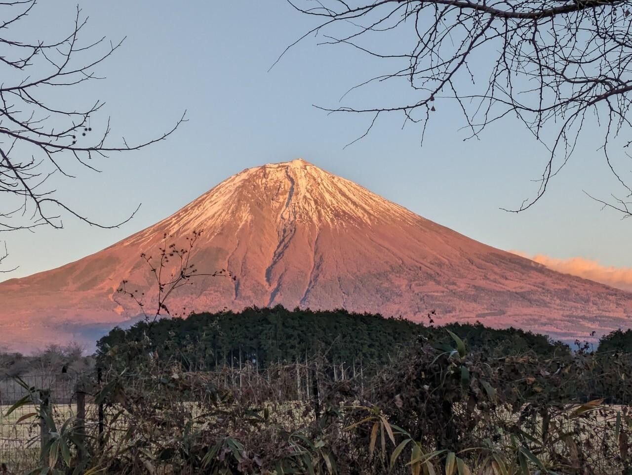 富士山🗻ボーン 越前岳😊 💍 / misamisaさんのFUJISAN LONG TRAIL（愛鷹・富士南麓エリア SOUTH）の活動データ | YAMAP / ヤマップ