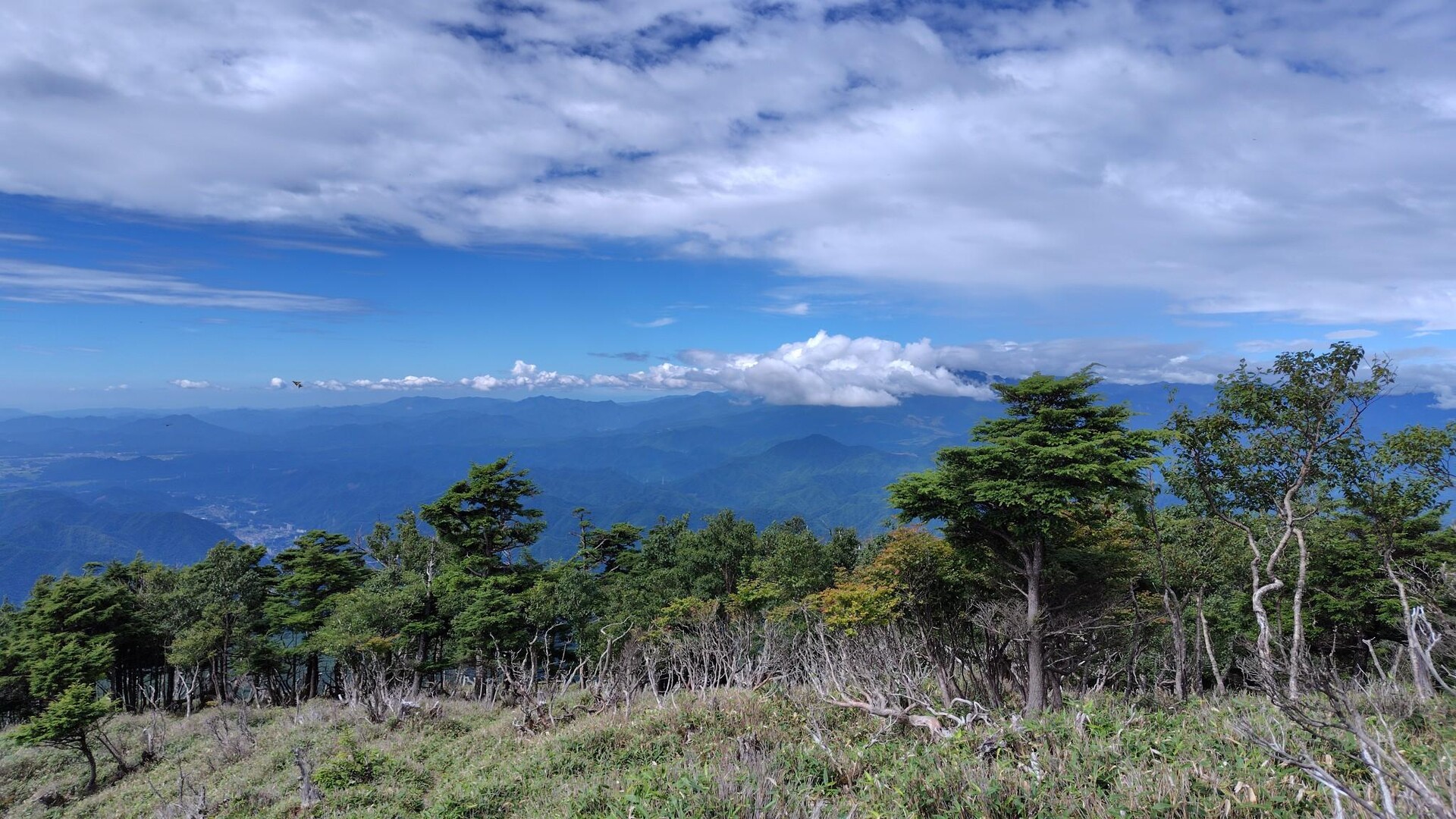 鶏頂山 / satochanさんの高原山・釈迦ヶ岳・鶏頂山の活動データ | YAMAP / ヤマップ