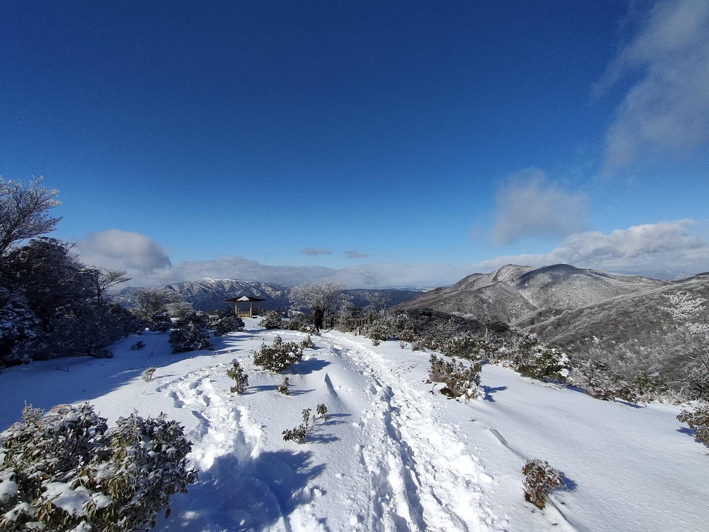 三方山・小倉山・北尾根P826峰・・・あれ？養老山は？😳 / ishi_chocoさんの養老山・笙ヶ岳・三方山の活動データ | YAMAP / ヤマップ