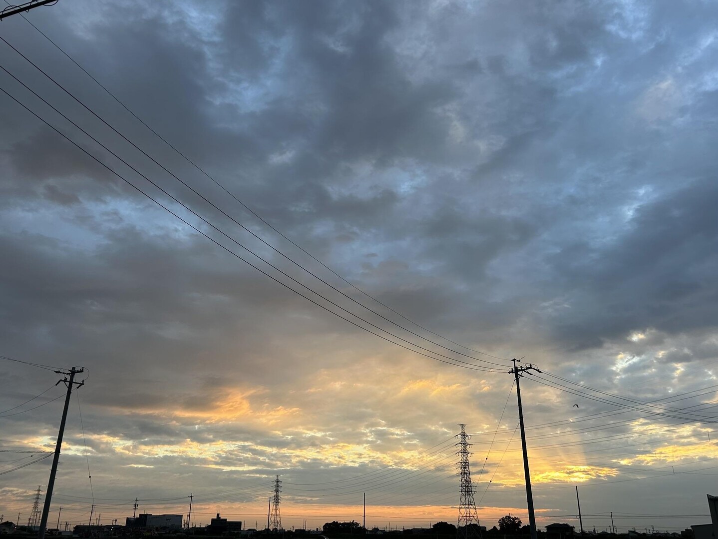 朝早く目が覚めて 早朝5時なら涼しいだろ... / macoさんのモーメント | YAMAP / ヤマップ